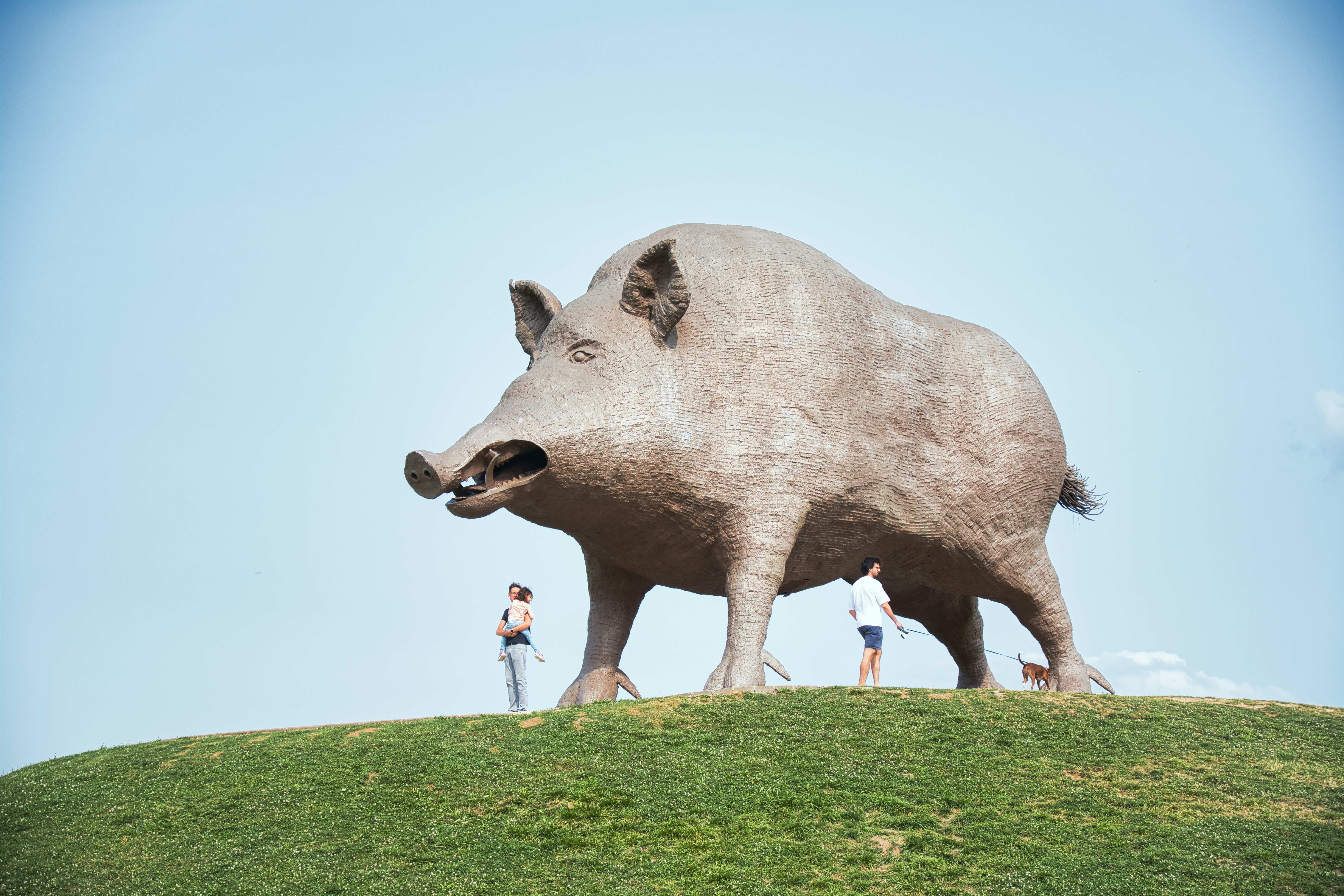 Hilltop Colossal Boar: A Concrete Giant Overlooking Quiet Visitors