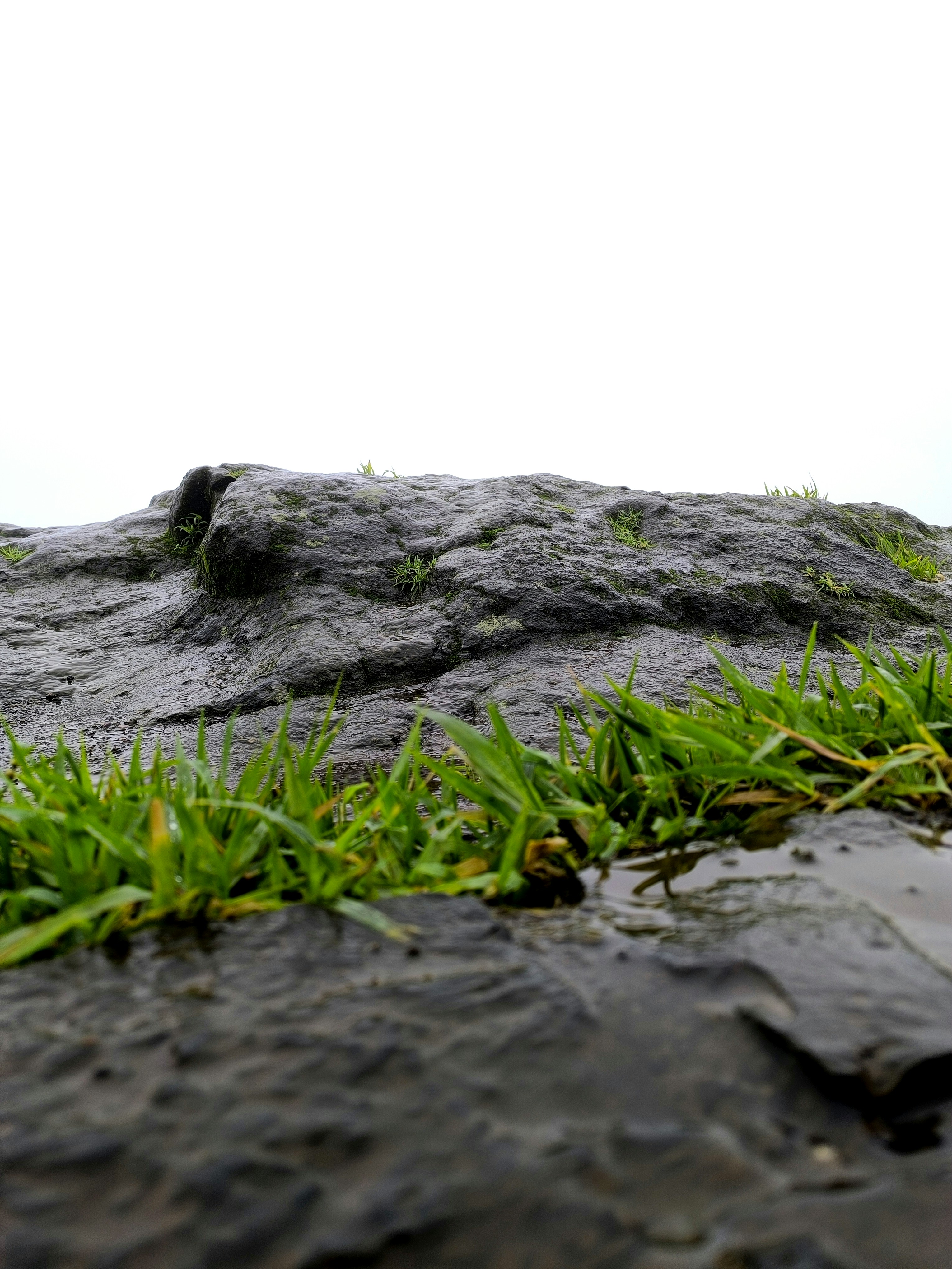 Sample photo from Xiaomi Redmi Note 13 Pro Plus