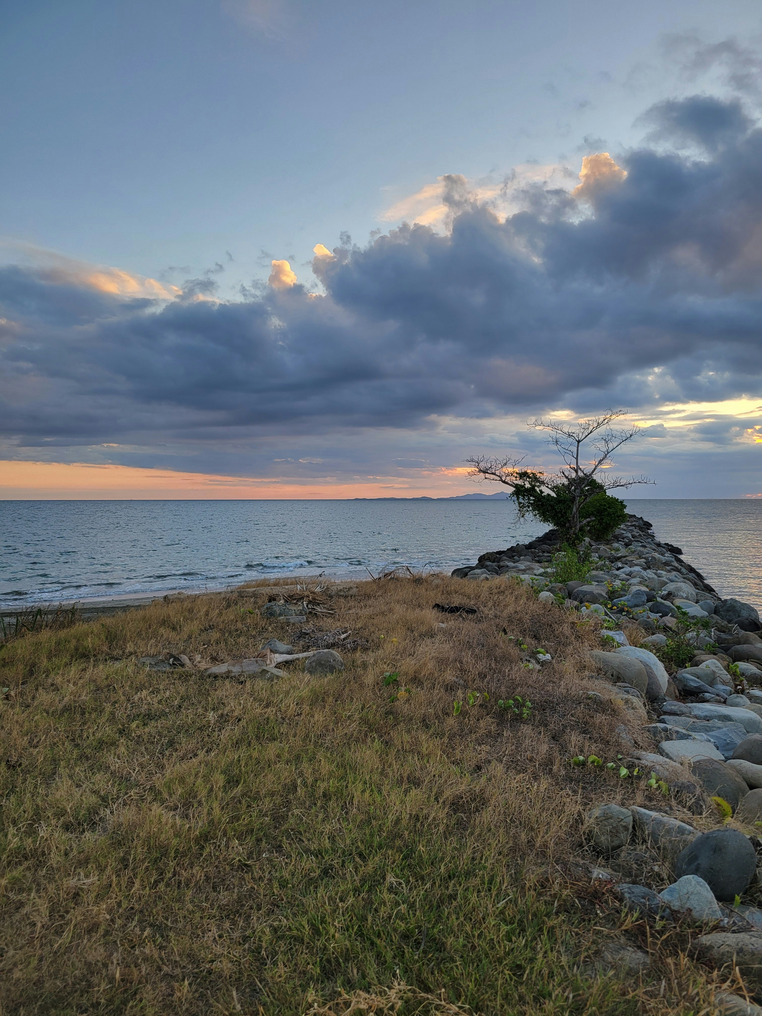 Dusk Breakwater: A Windswept Tree at the End of a Pebble Jetty