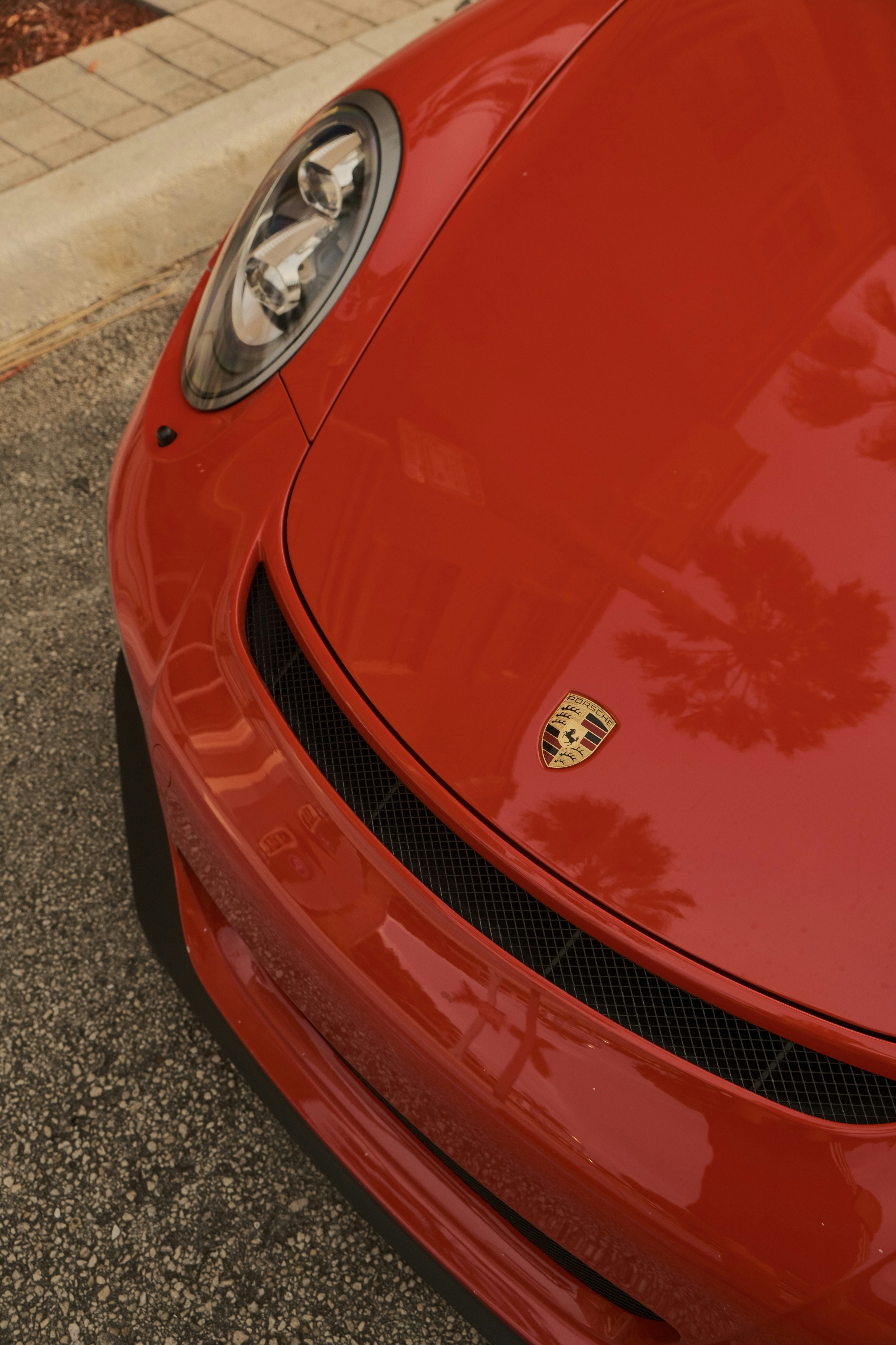 Crimson Hood, Crest in Focus: A Porsche’s Front Glare