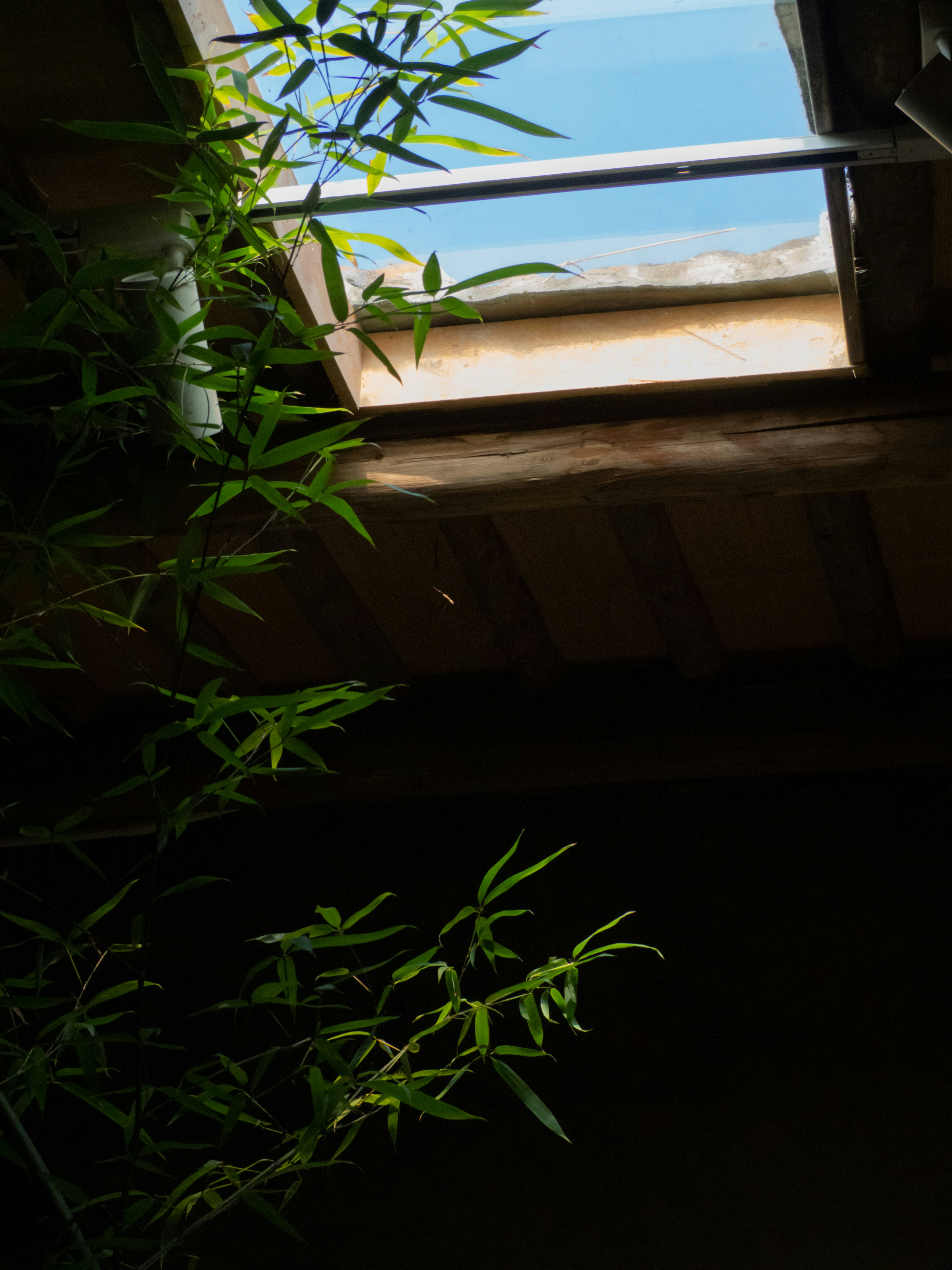 Photo by Sirius Harrison with Olympus OM-D E-M10 Mark II