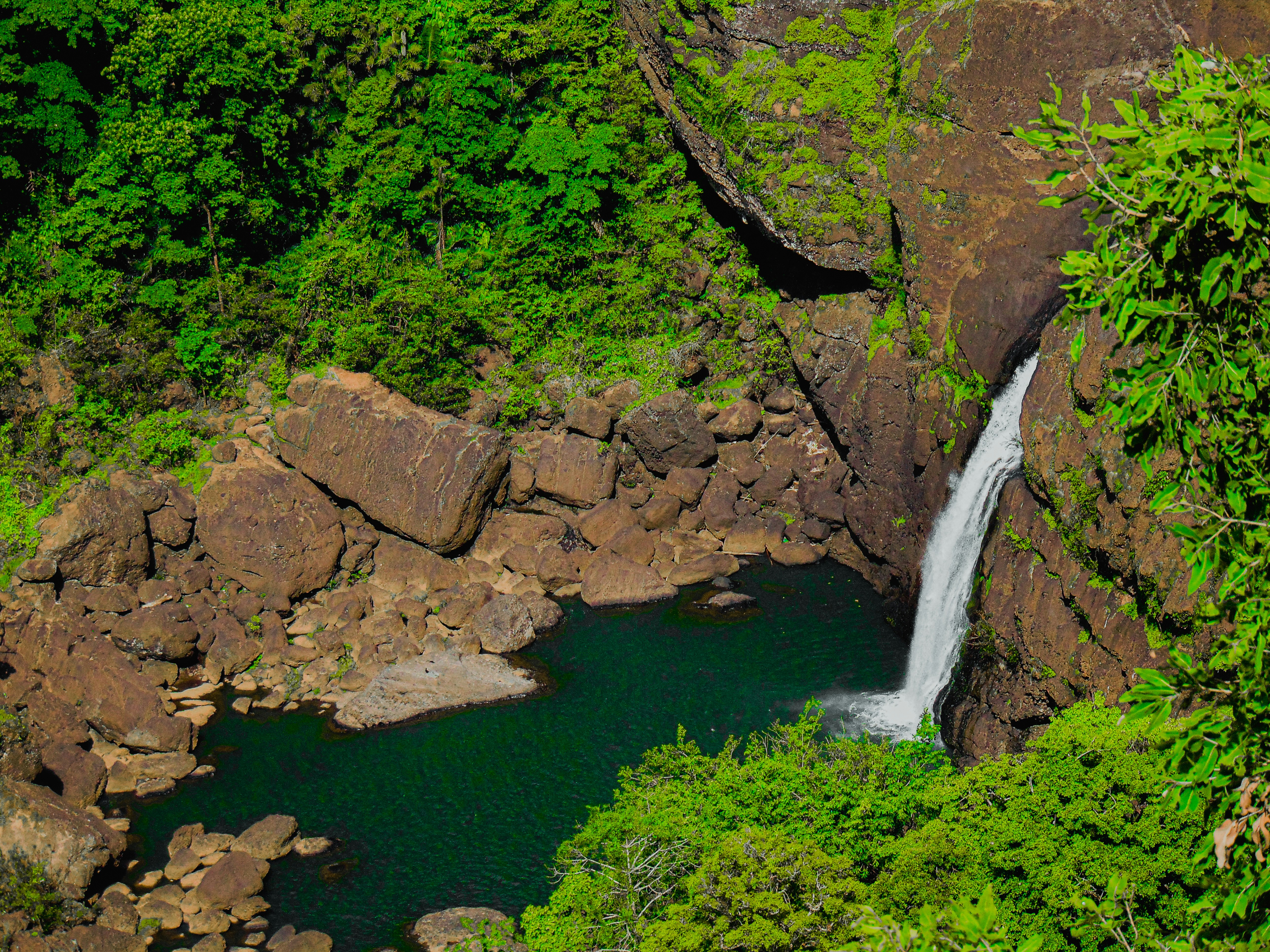 Waterfall spills into a deep green pool, framed by rugged brown rocks and lush foliage.