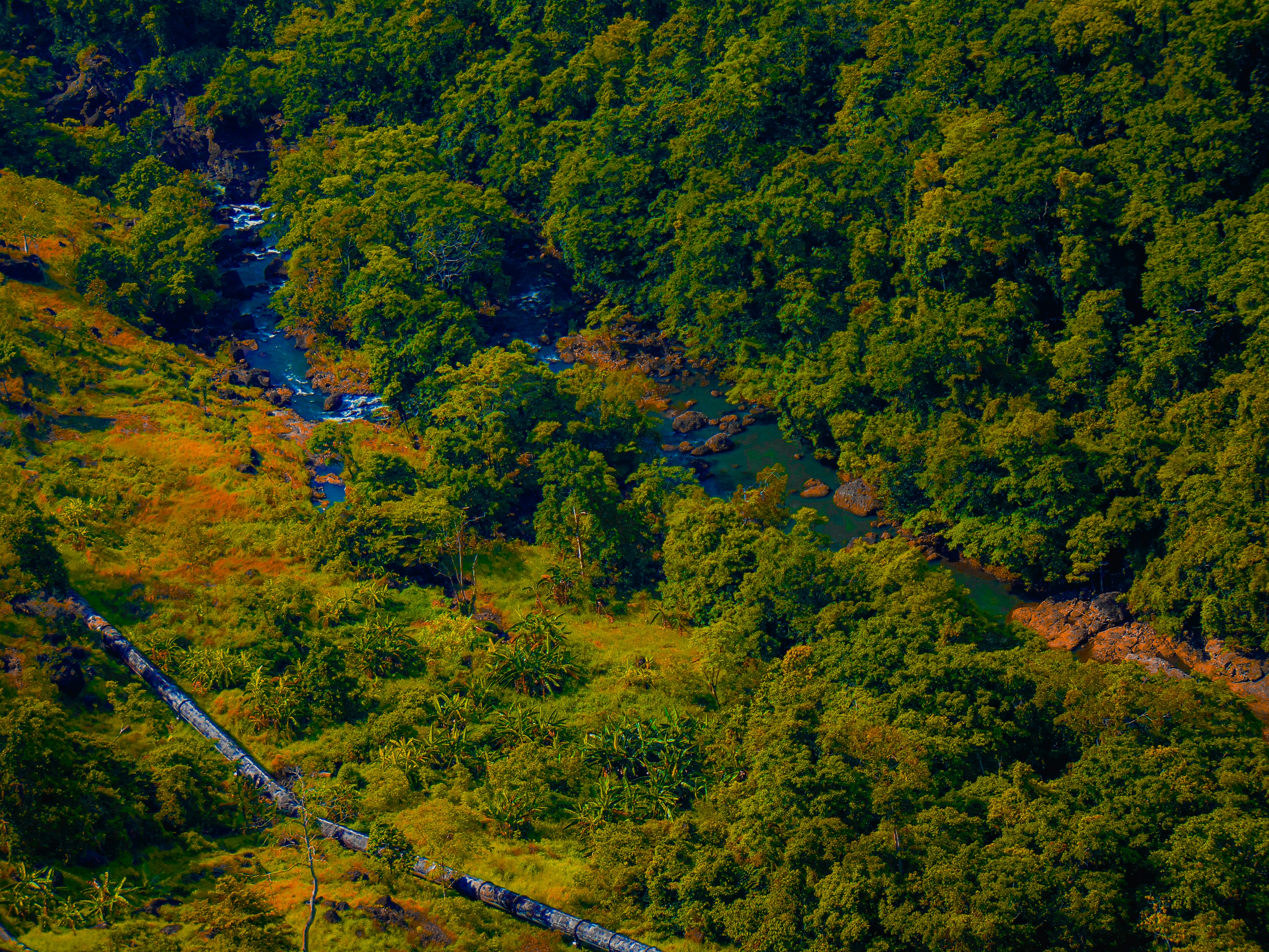 A river running through a lush green forest photo – Free Sogeri Image ...