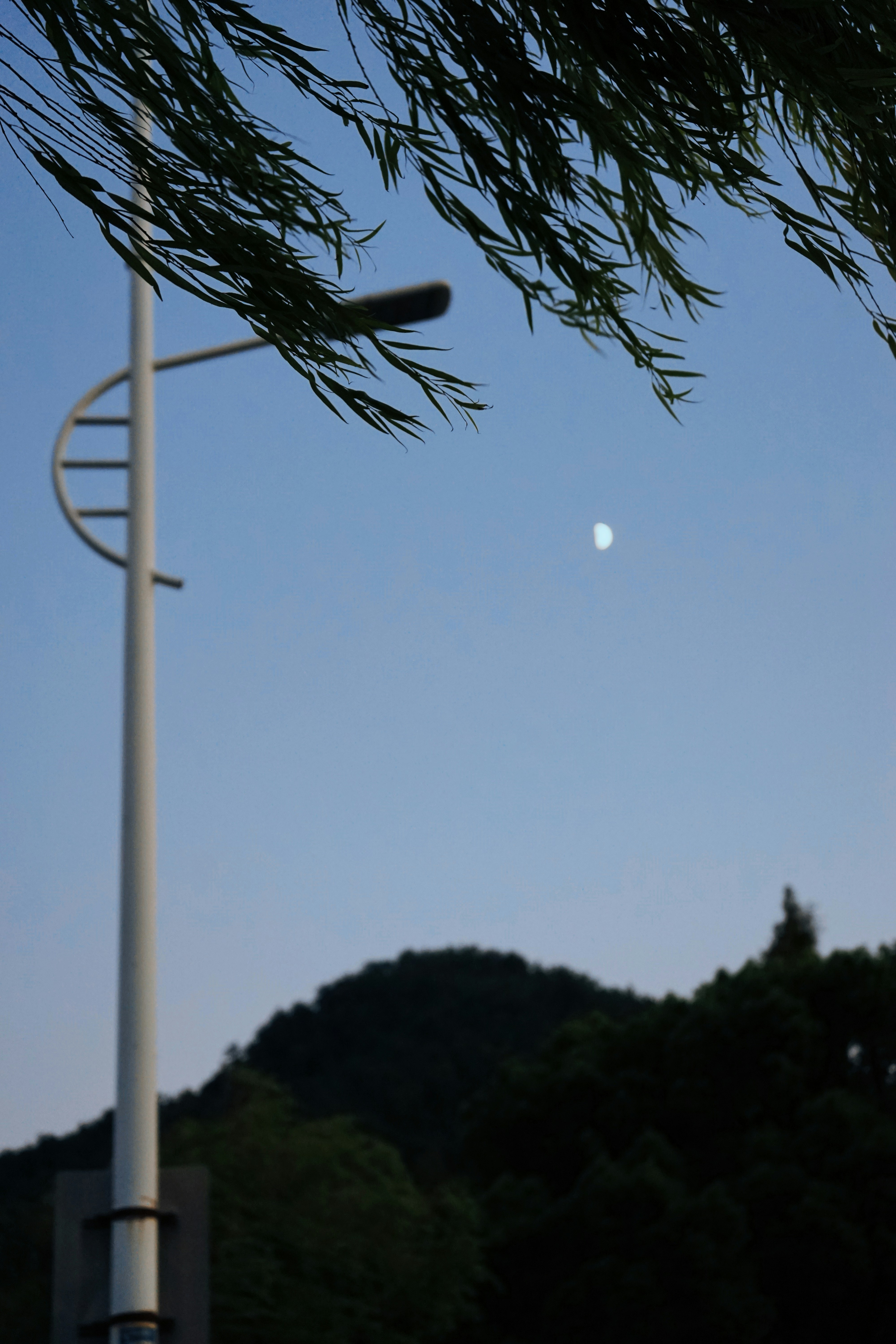 Crescent in the City: Moonlight over a Minimal Street-Lamp Silhouette