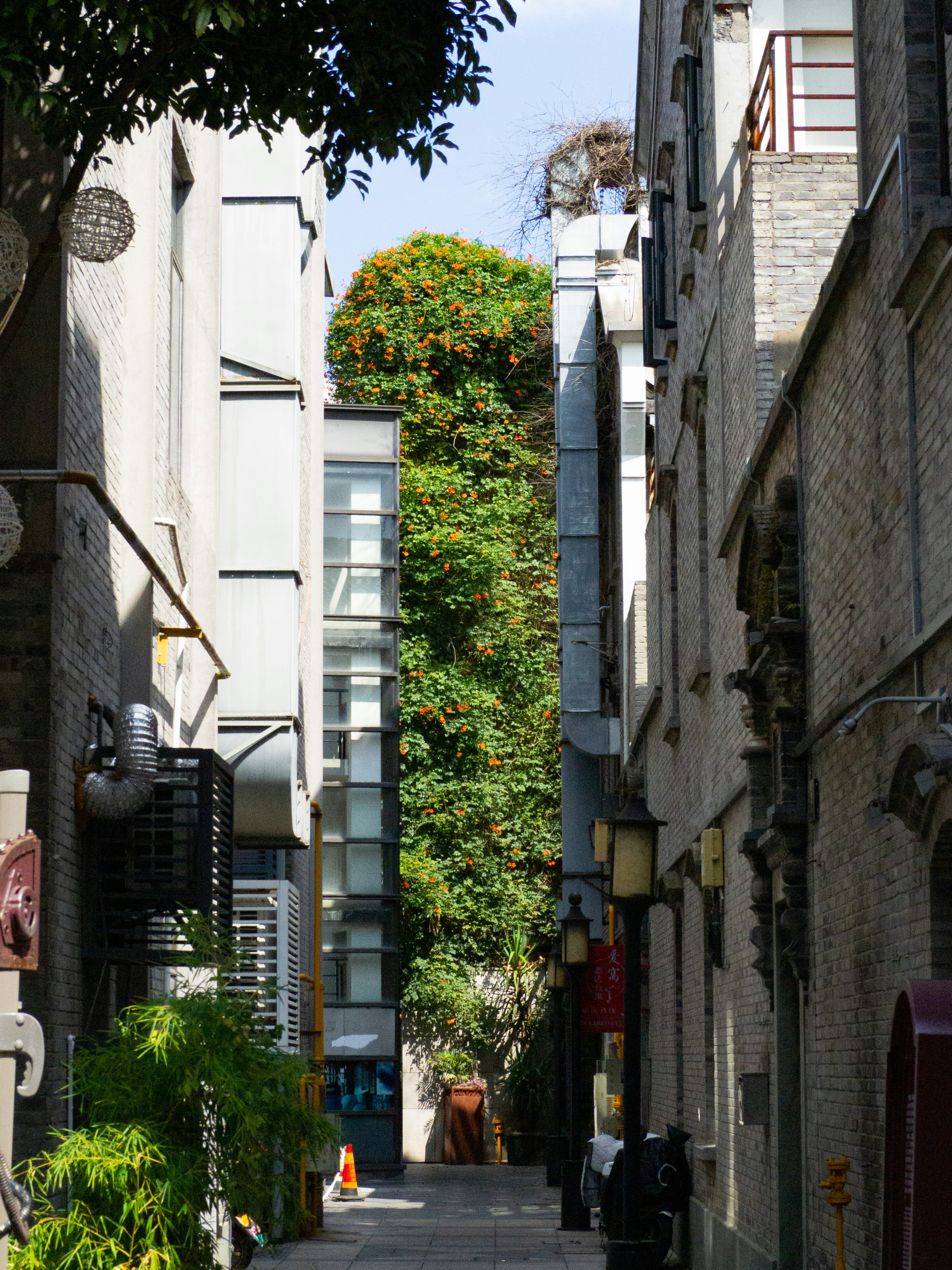 Photo by Sirius Harrison with Olympus OM-D E-M10 Mark II