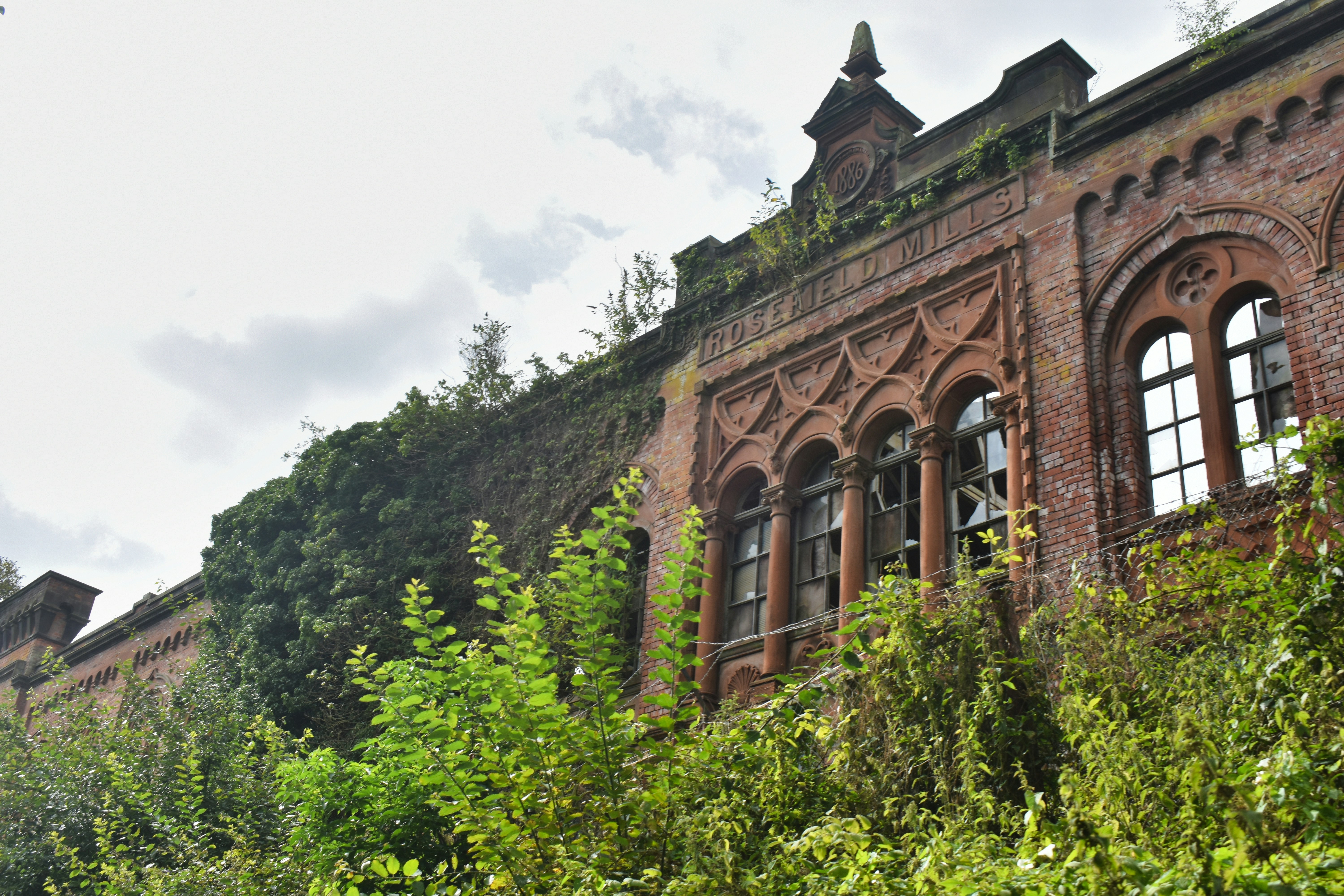 Ivy-Framed Arches on a Weathered Brick Facade