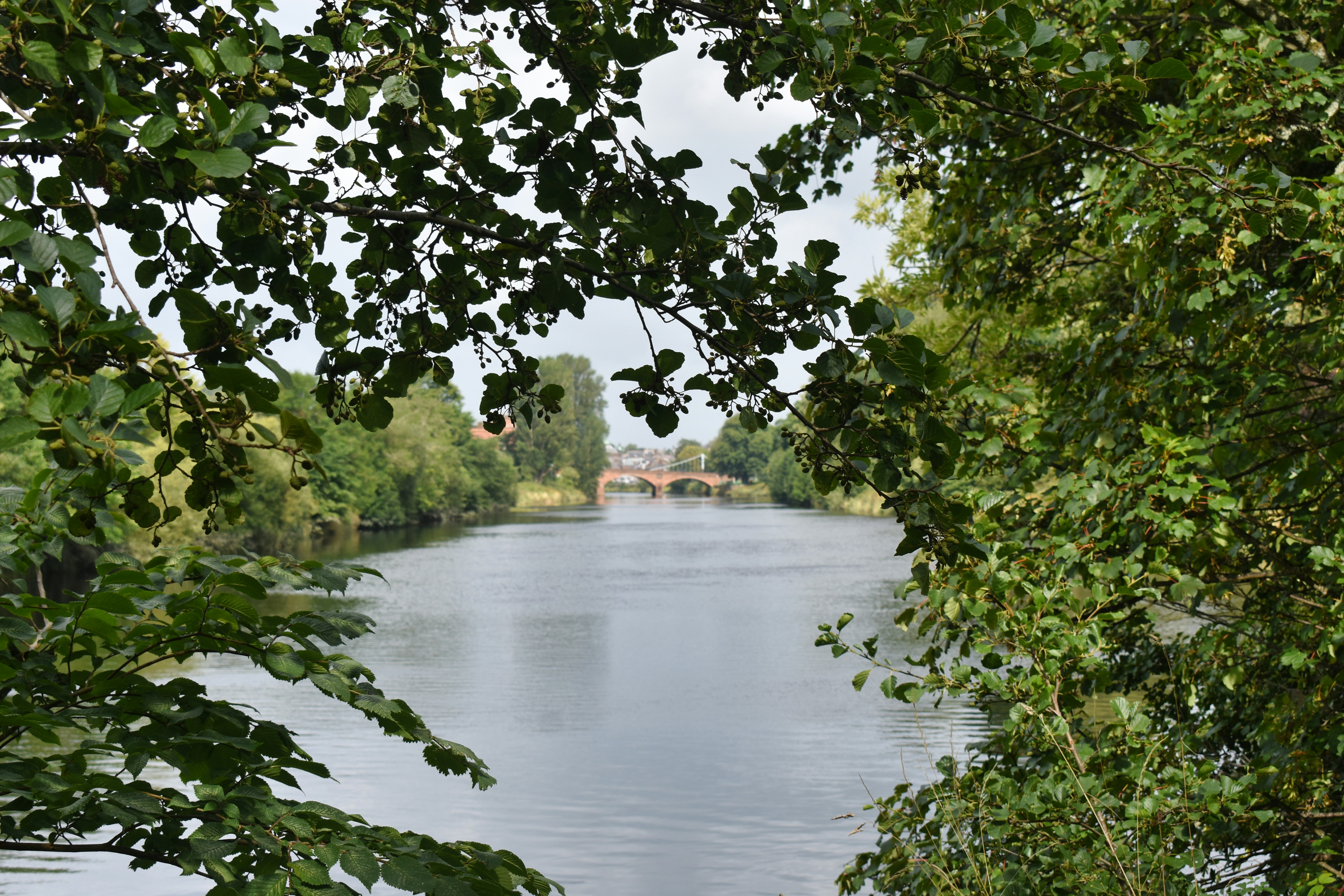 Photo by Andrew Hall with Nikon D3400