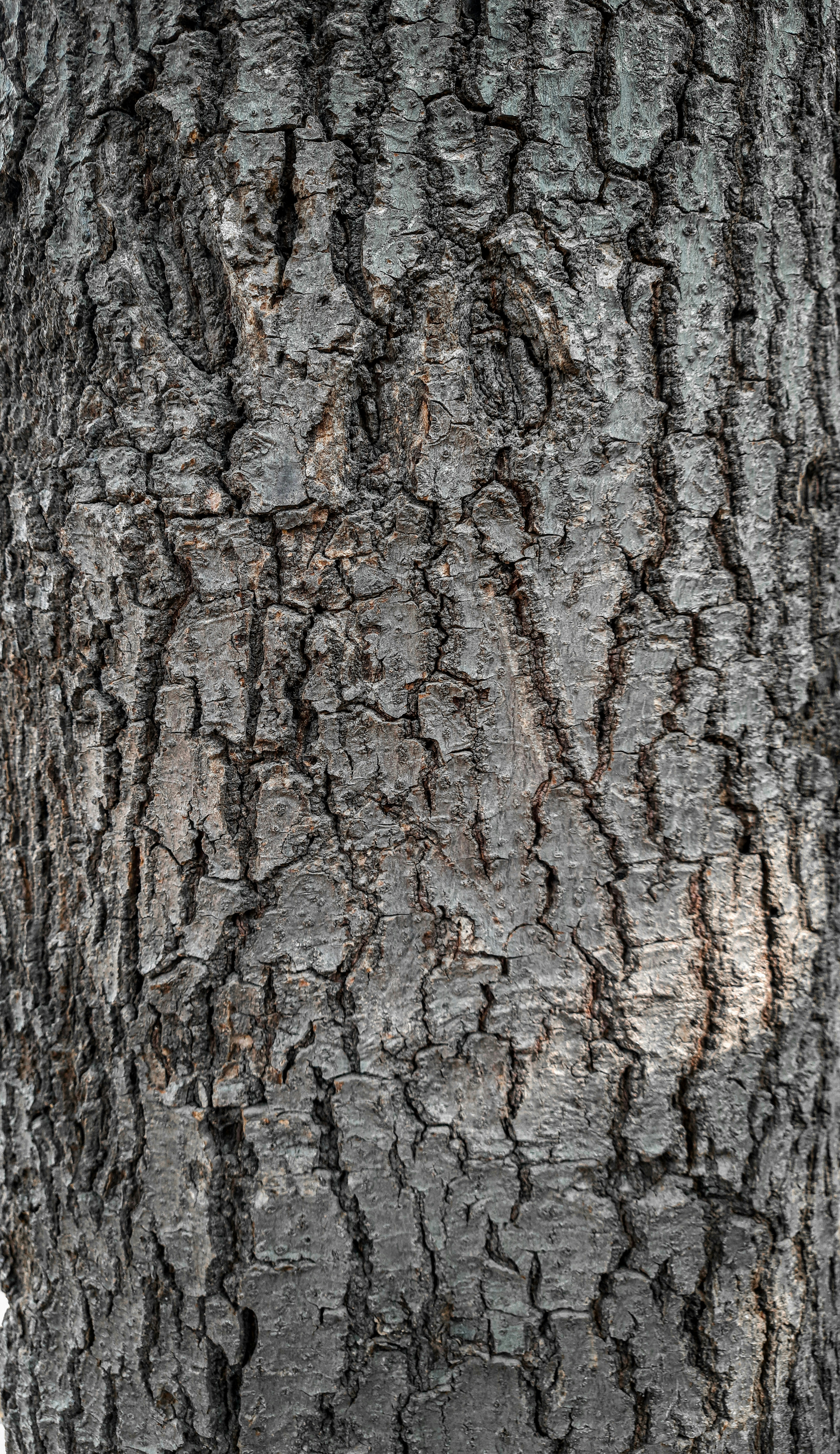 Photo by Pranav tyagi with Samsung Galaxy M31