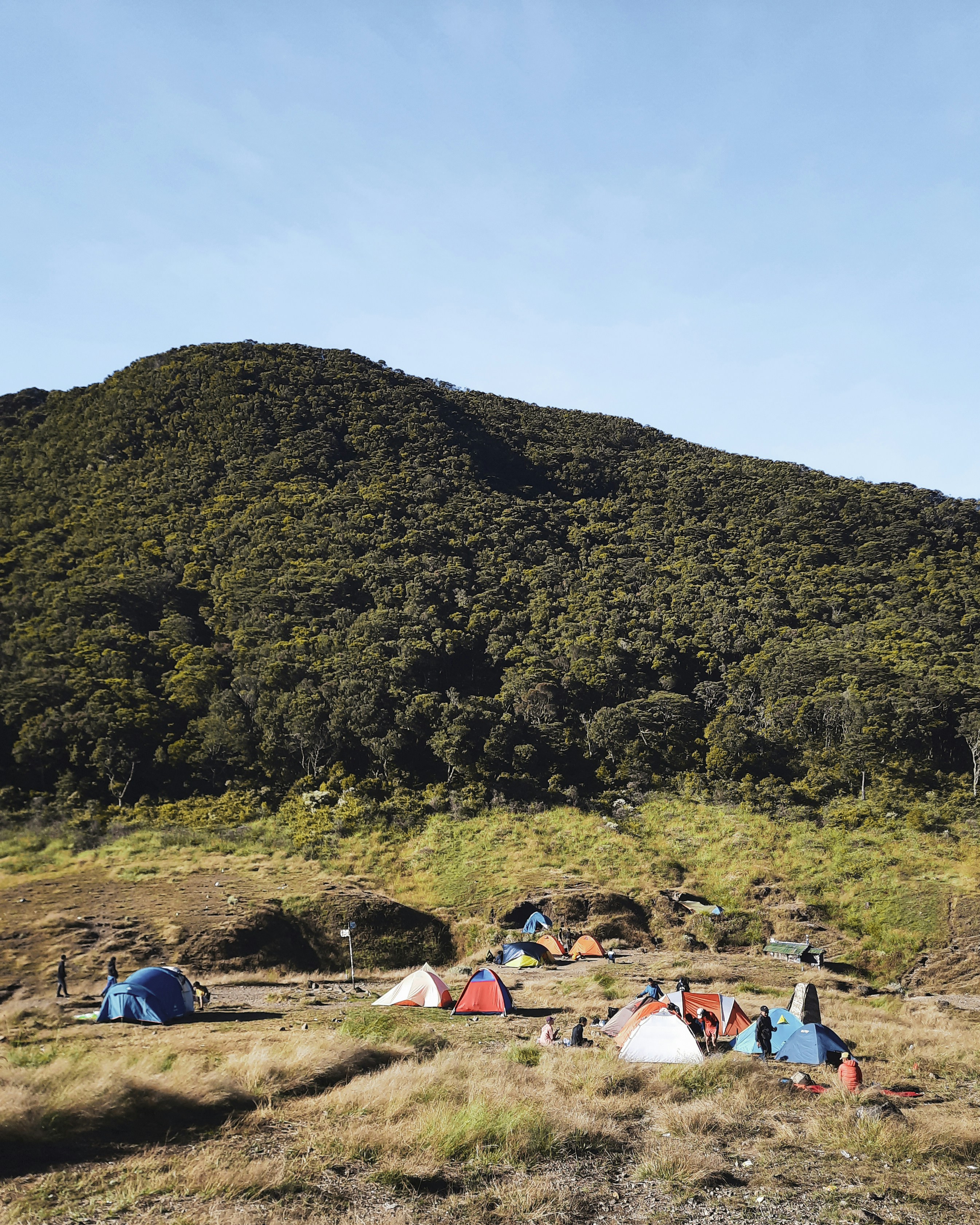 A group of people camping in a field with a mountain in the background ...