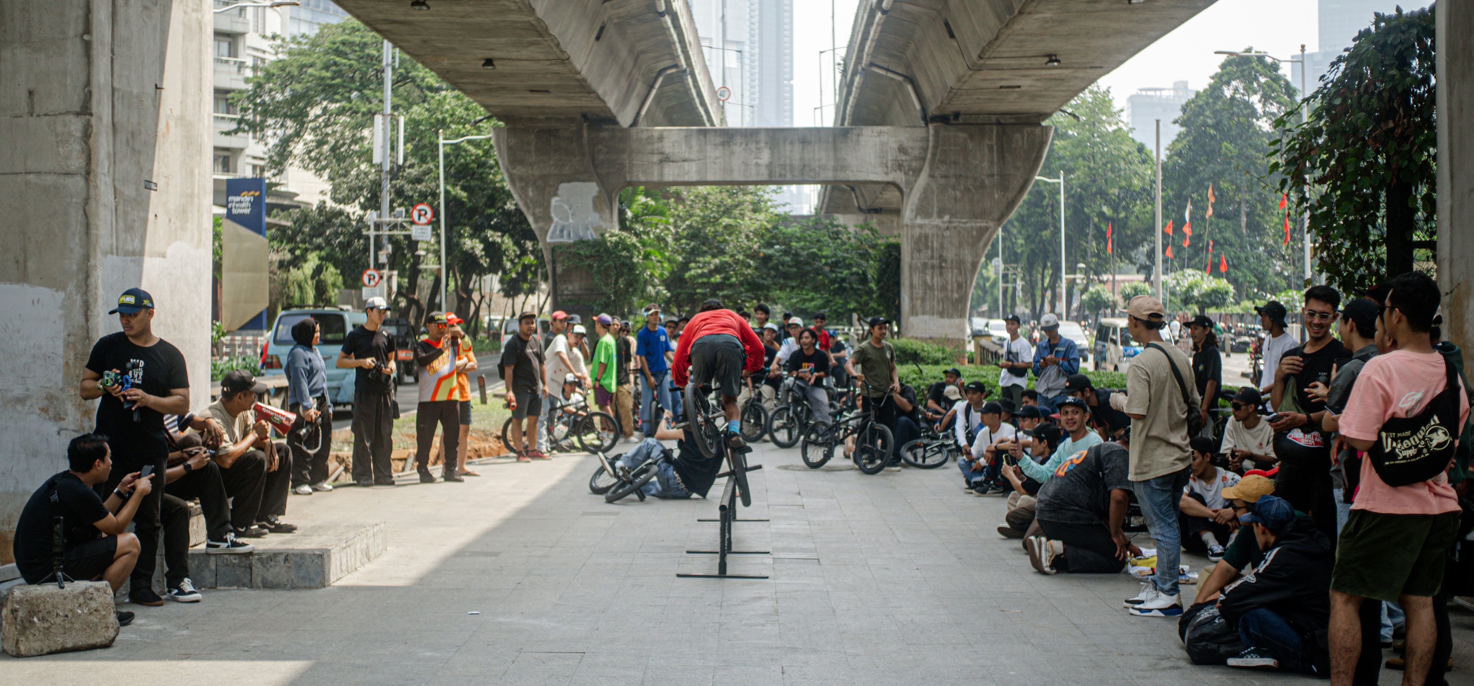 Under the Overpass: A Street Stunt Draws a Curious Crowd