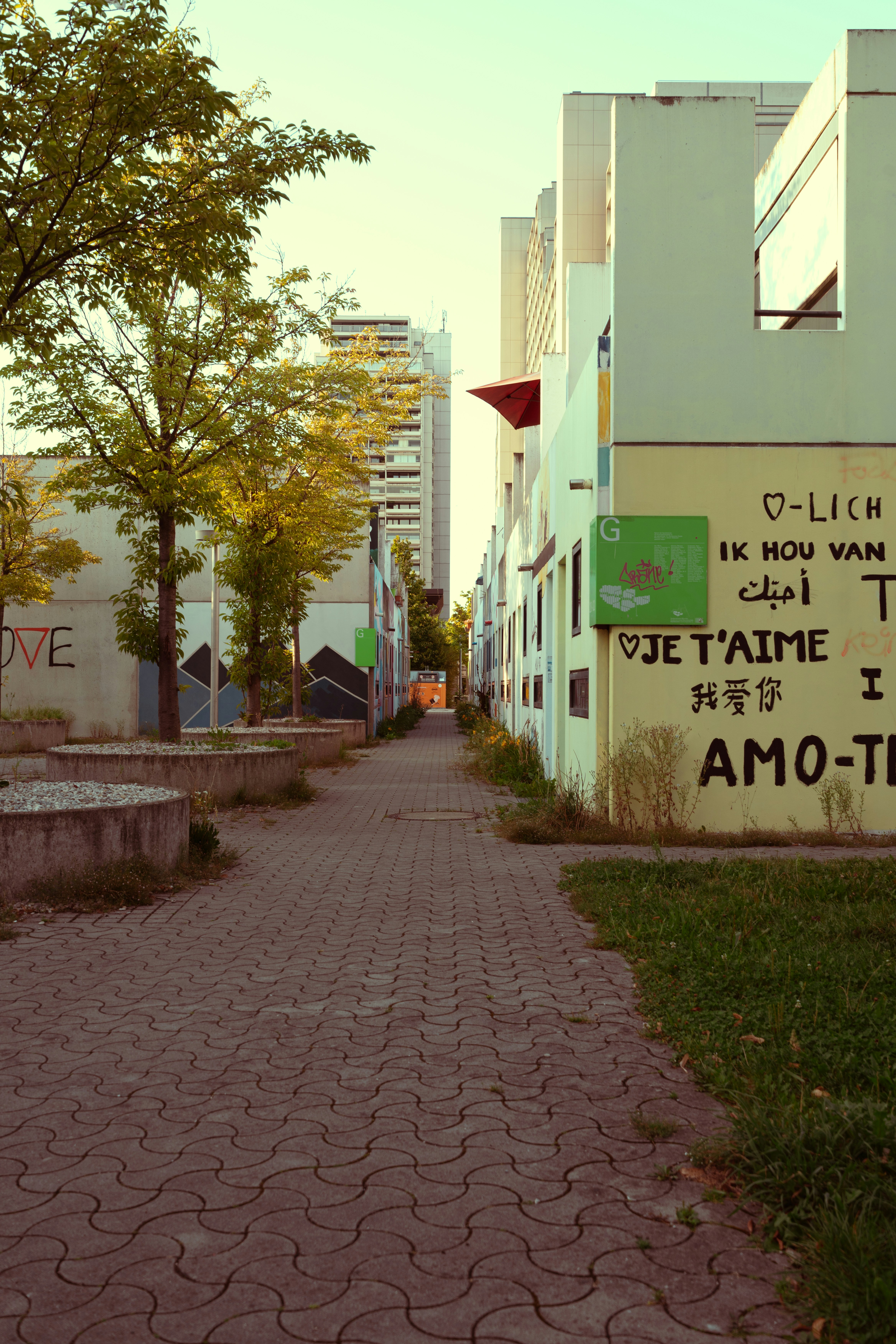 Whispers of Love in Urban Canvas