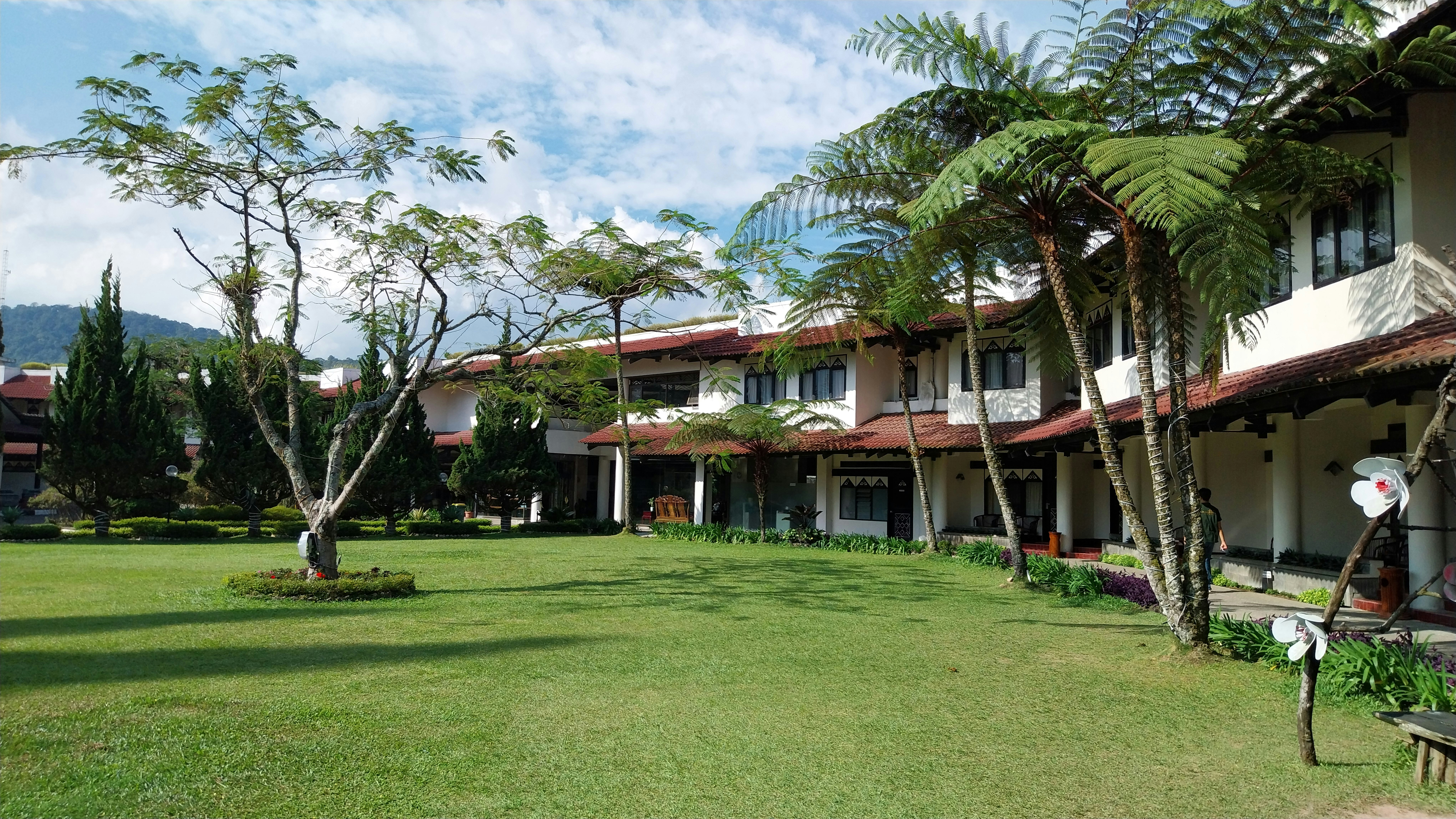 Lush courtyard with vibrant greenery surrounded by a two-story building under a partly cloudy sky.