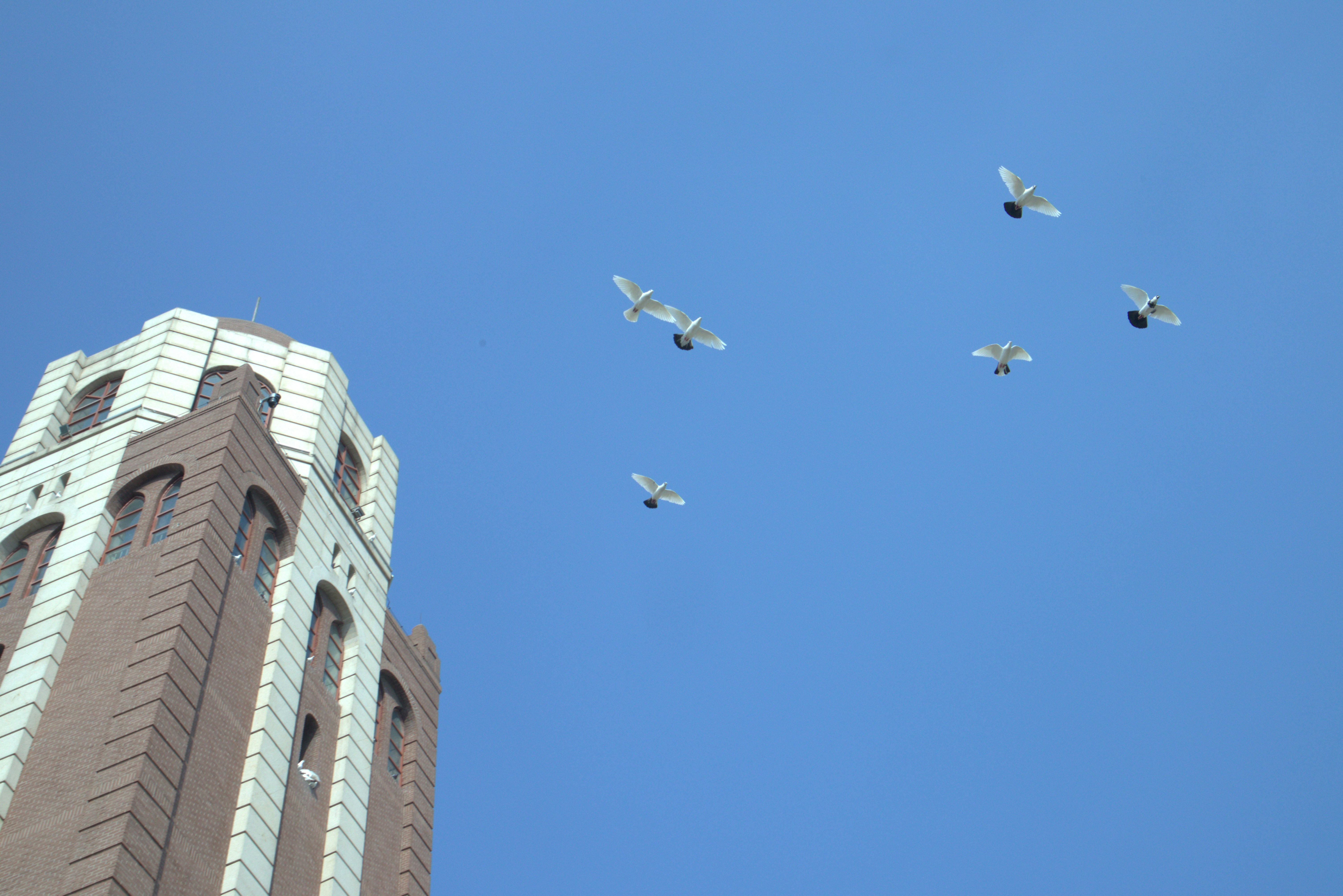 A group of fighter jets flying over a tall building photo – Free ...