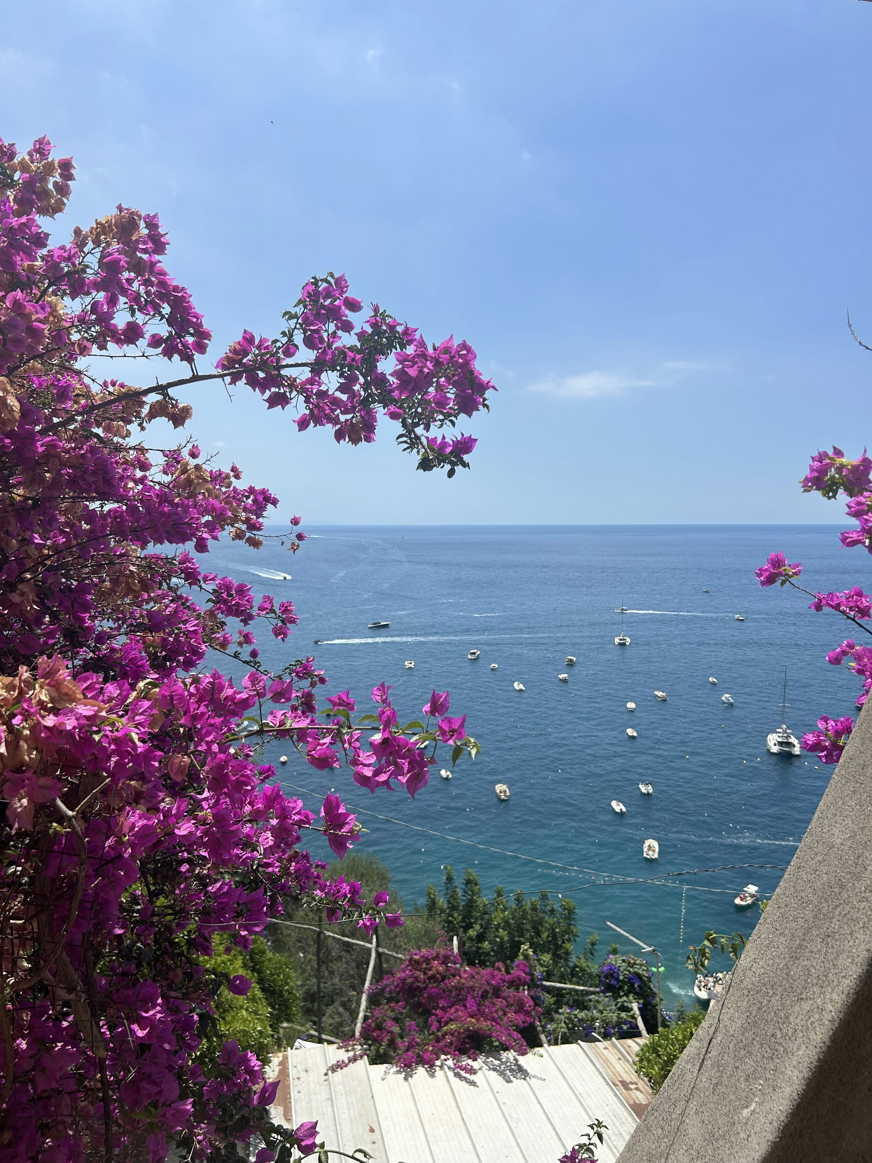 Photo by Natasha with Apple iPhone 14