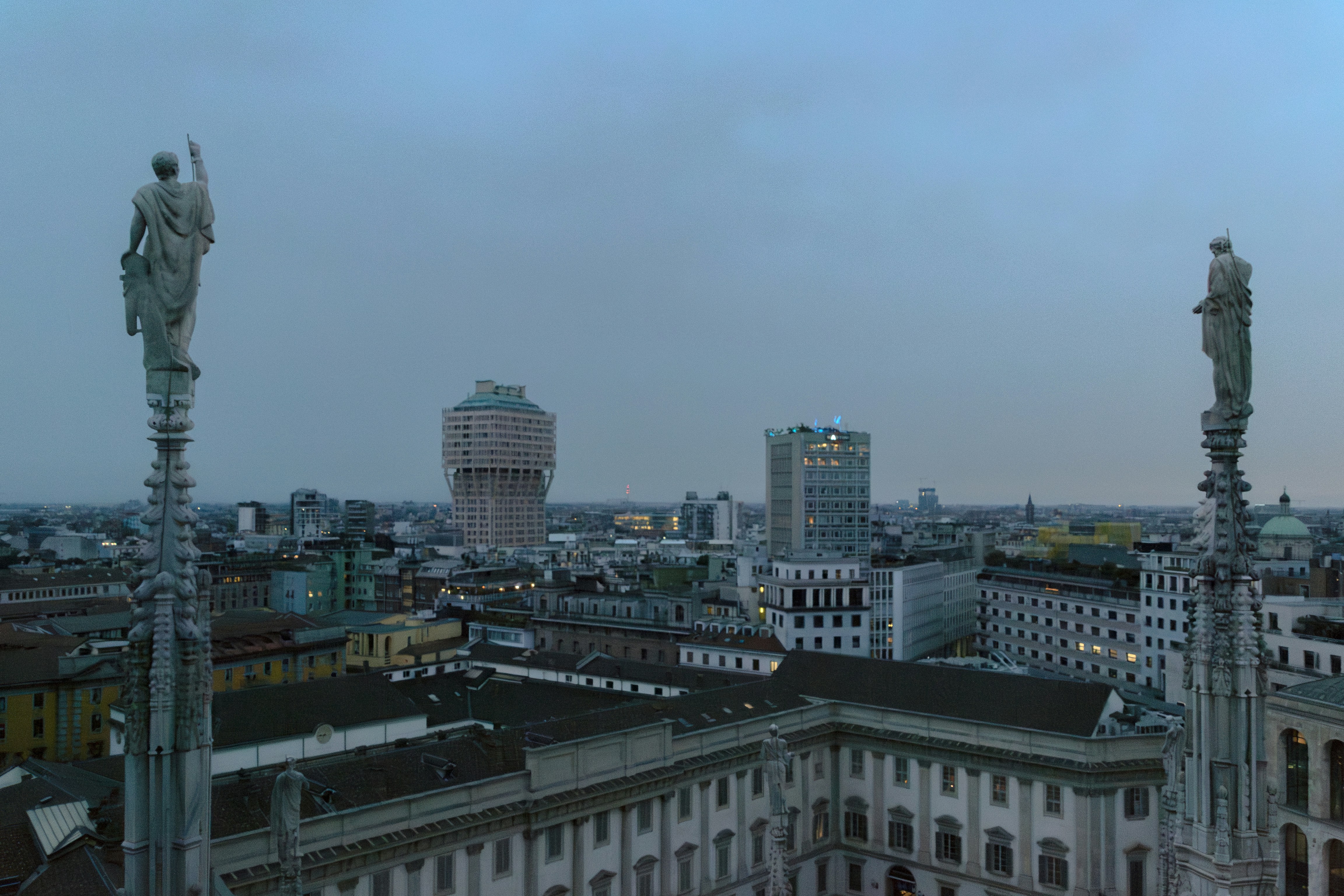 Twilight Guardians Over the Urban Sprawl