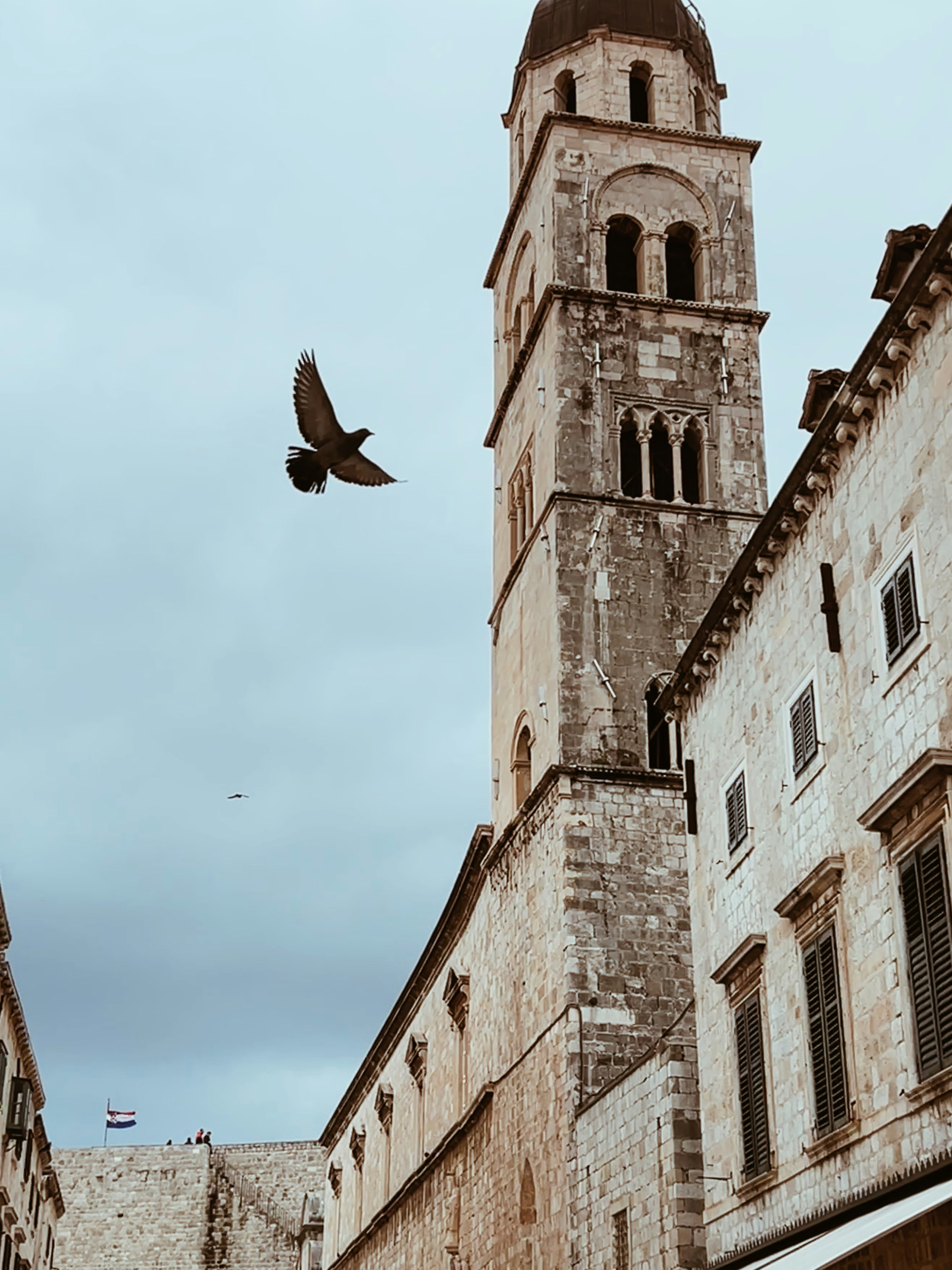 Photo by Sara Darcaj with Apple iPhone 14