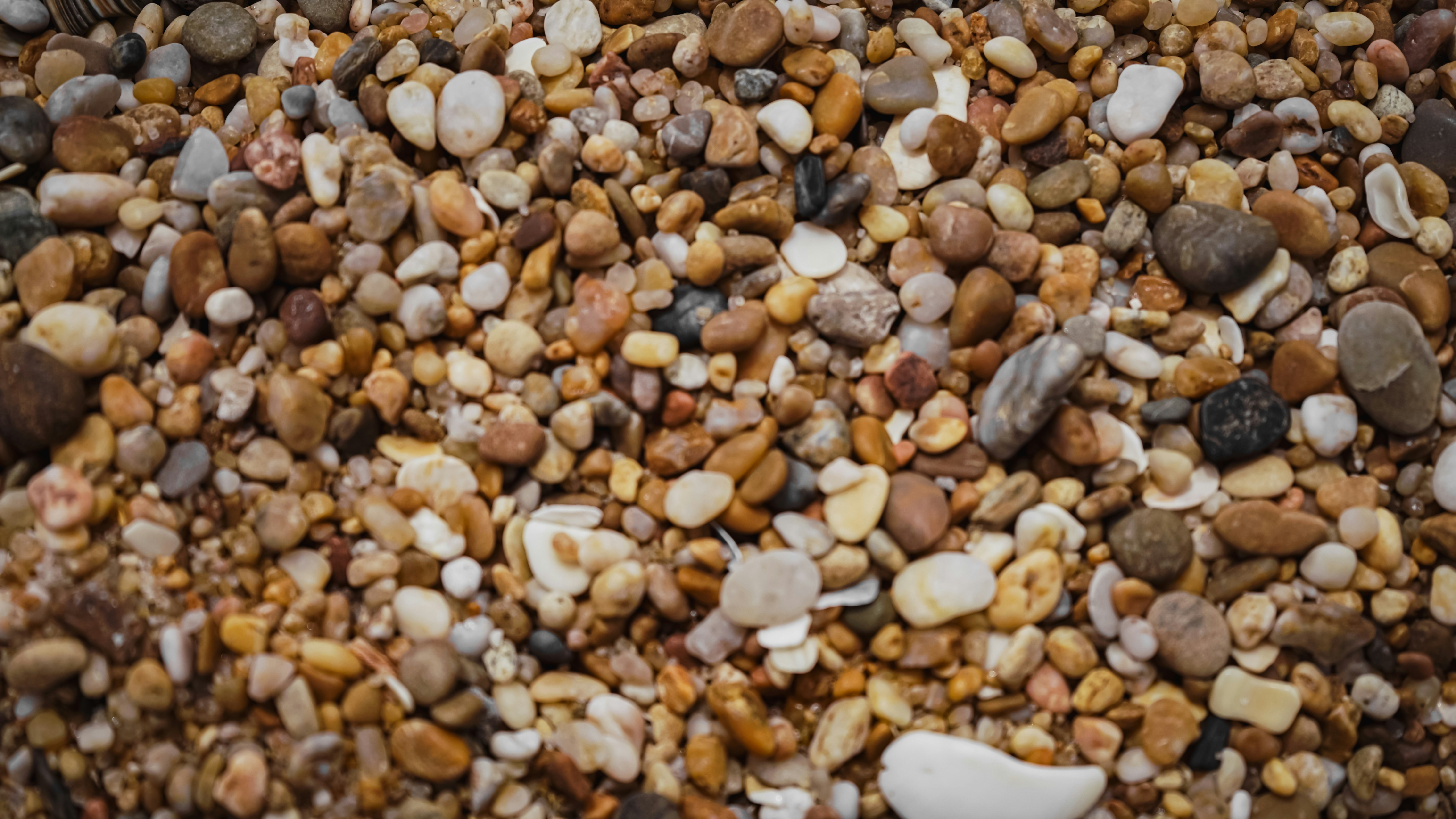 A close-up view of a diverse assortment of pebbles and stones, showcasing a range of earthy tones and textures. The composition highlights the intricate details of natural materials.