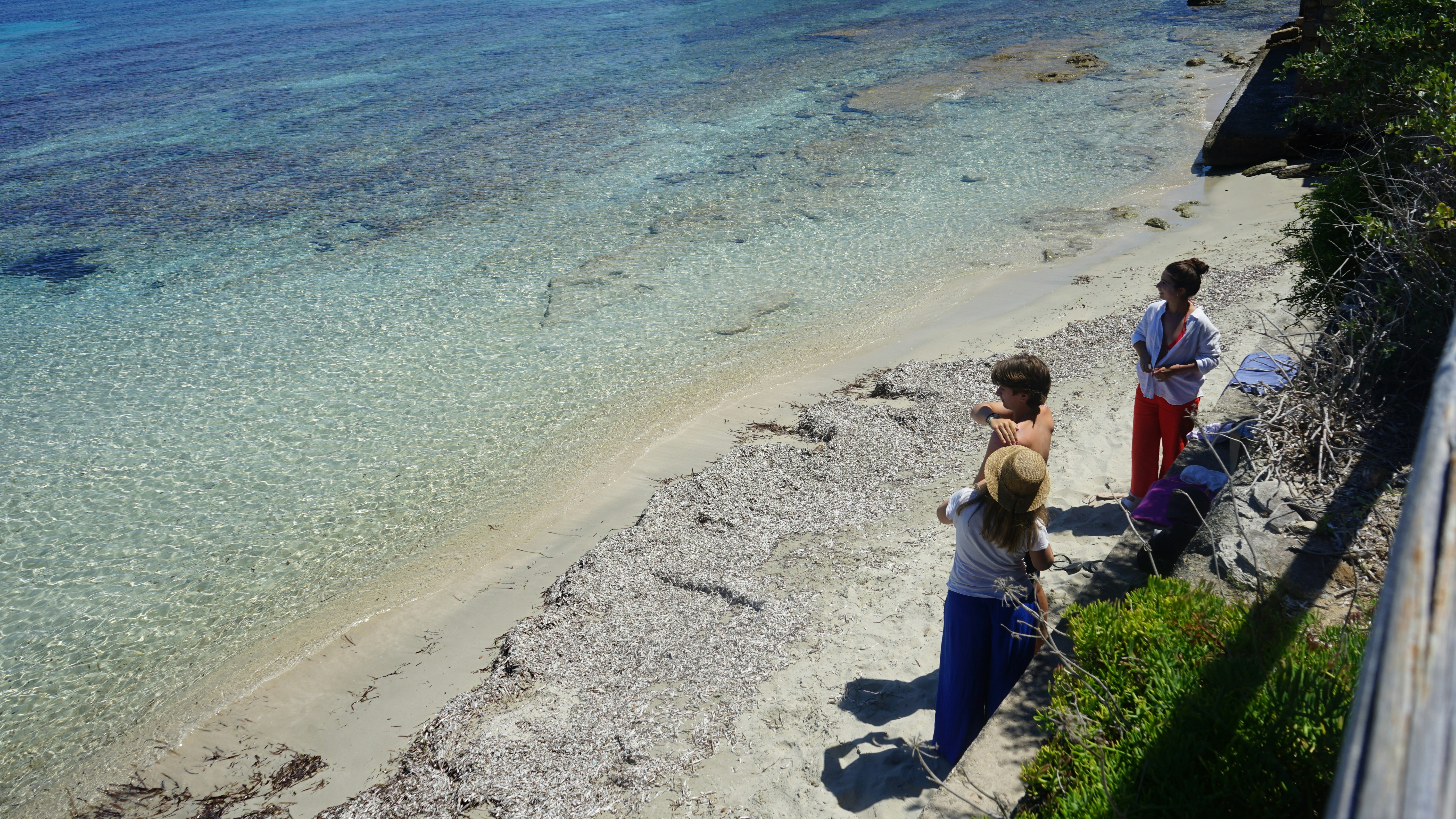 Sunlit Railside Watchers on a Turquoise Shore