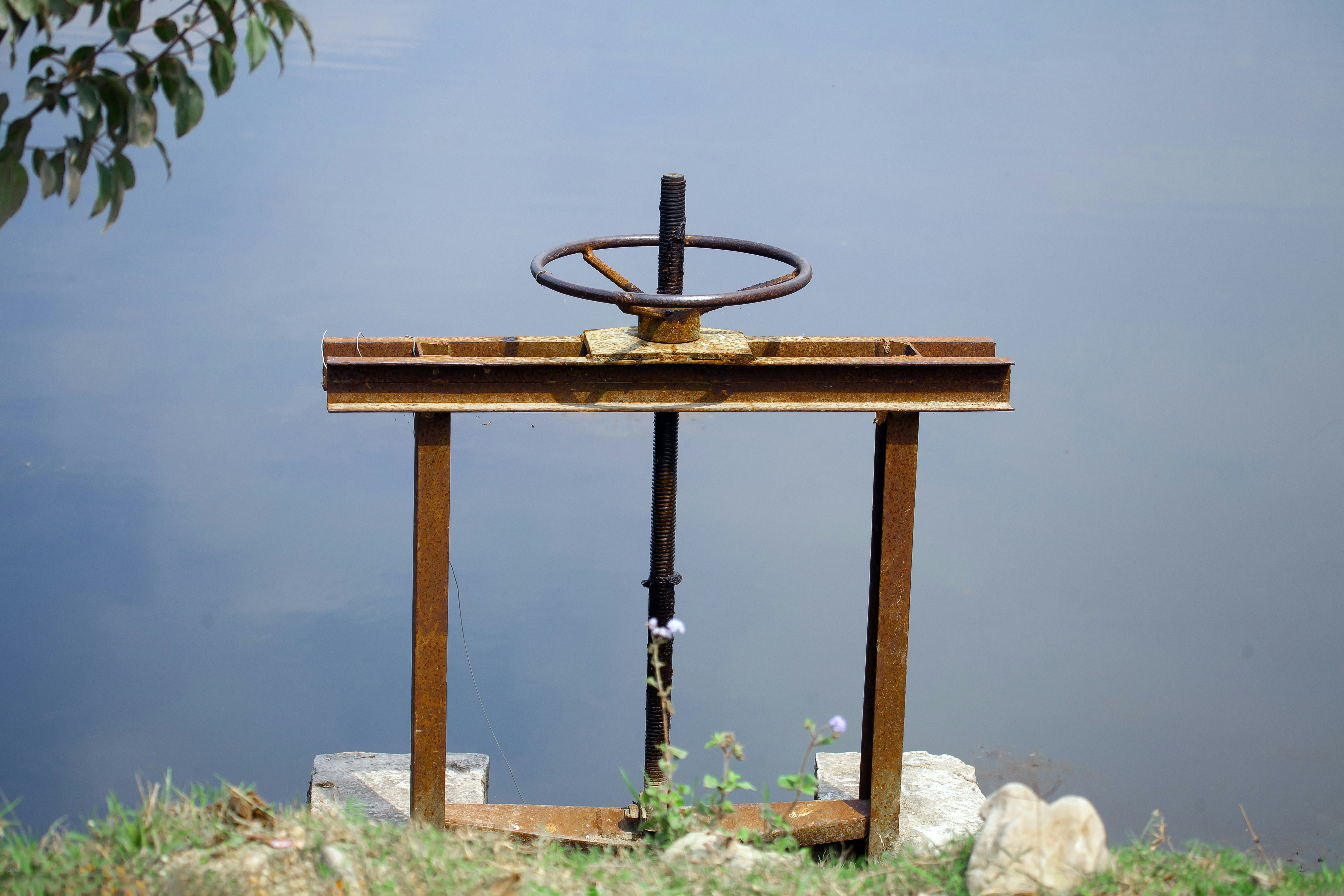 The Quiet Gatekeeper at the Water's Edge