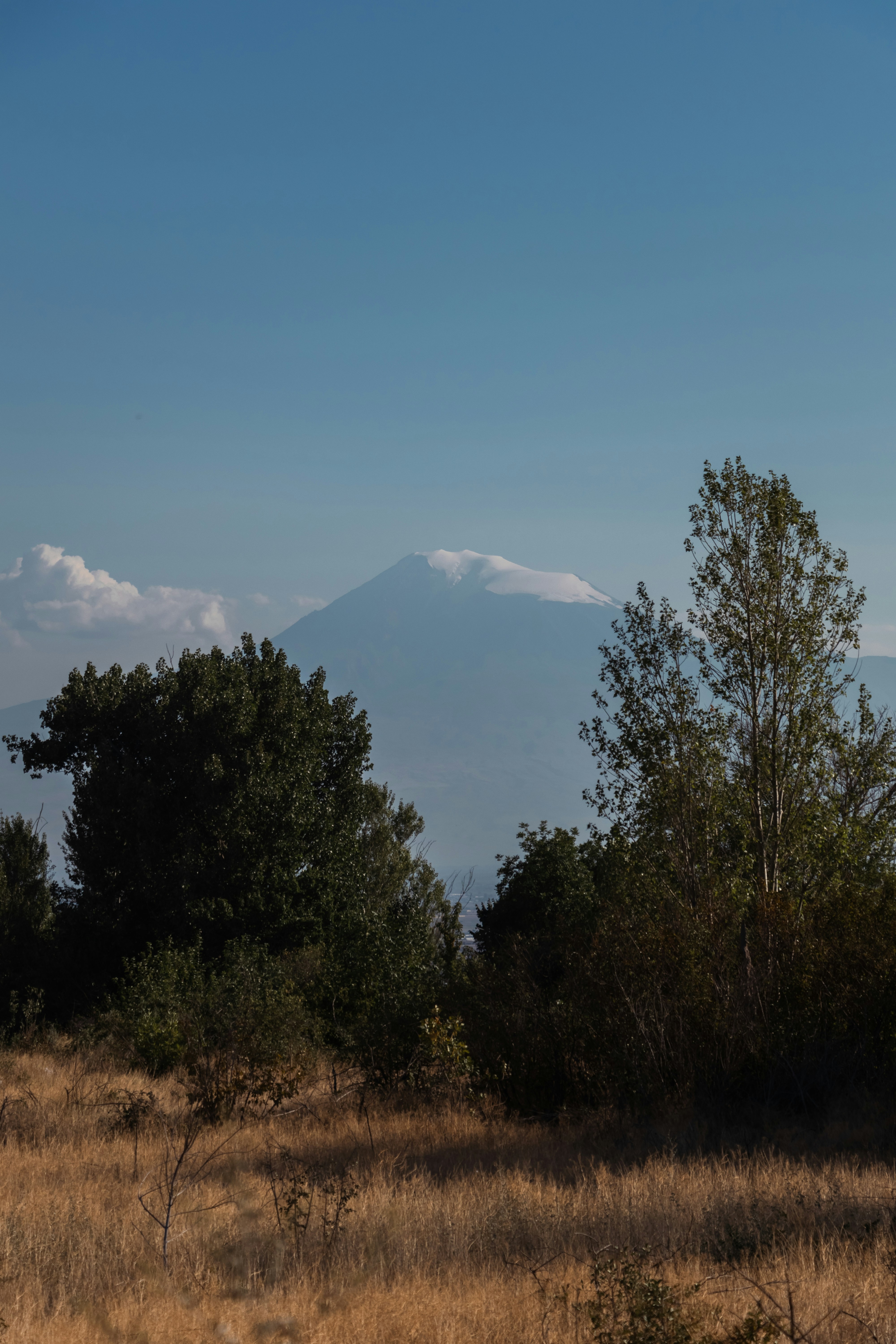 Snow-Kissed Summit Looms Over Golden Grass