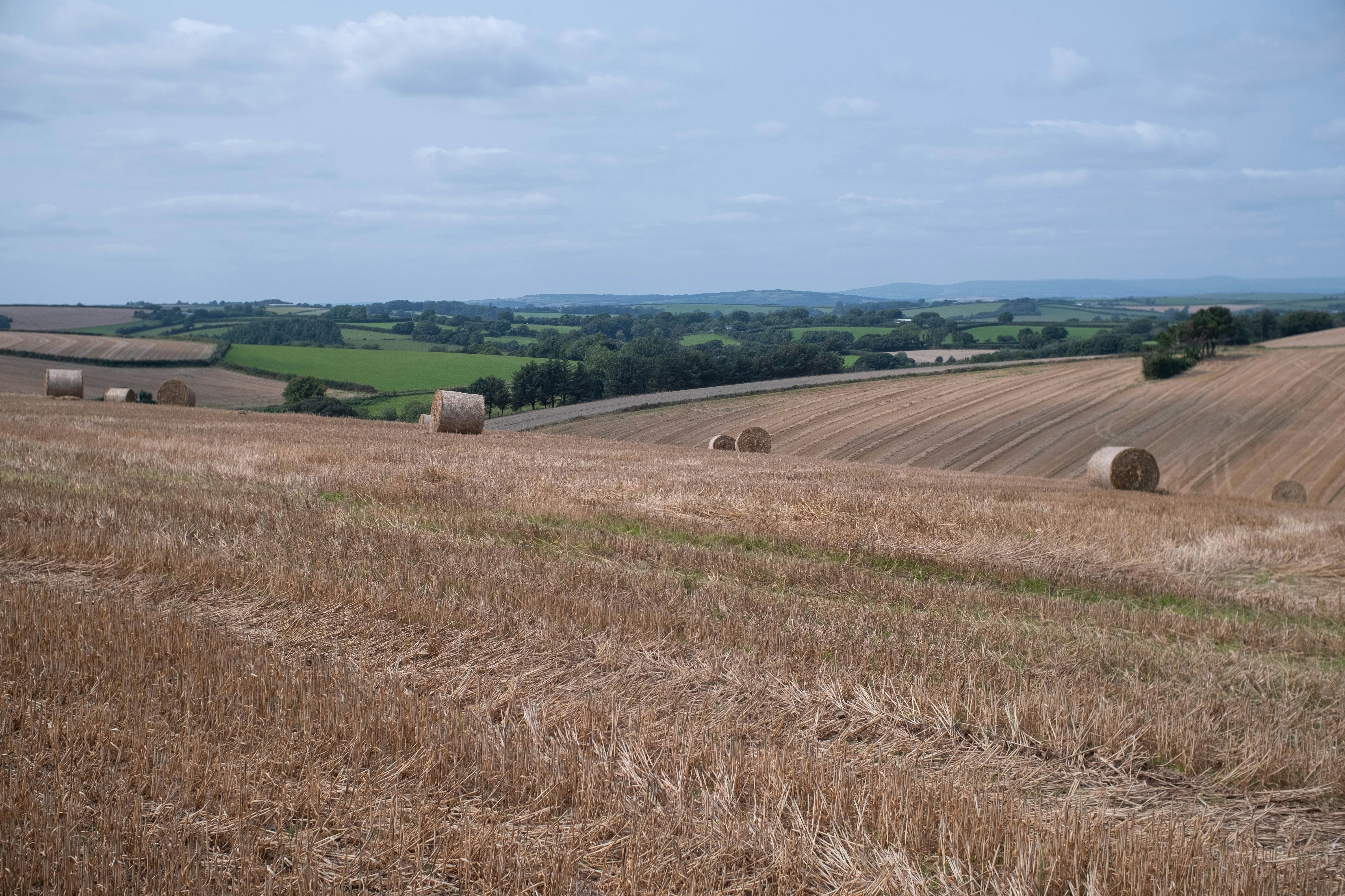 A field of hay with bales of hay in the foreground photo – Free ...