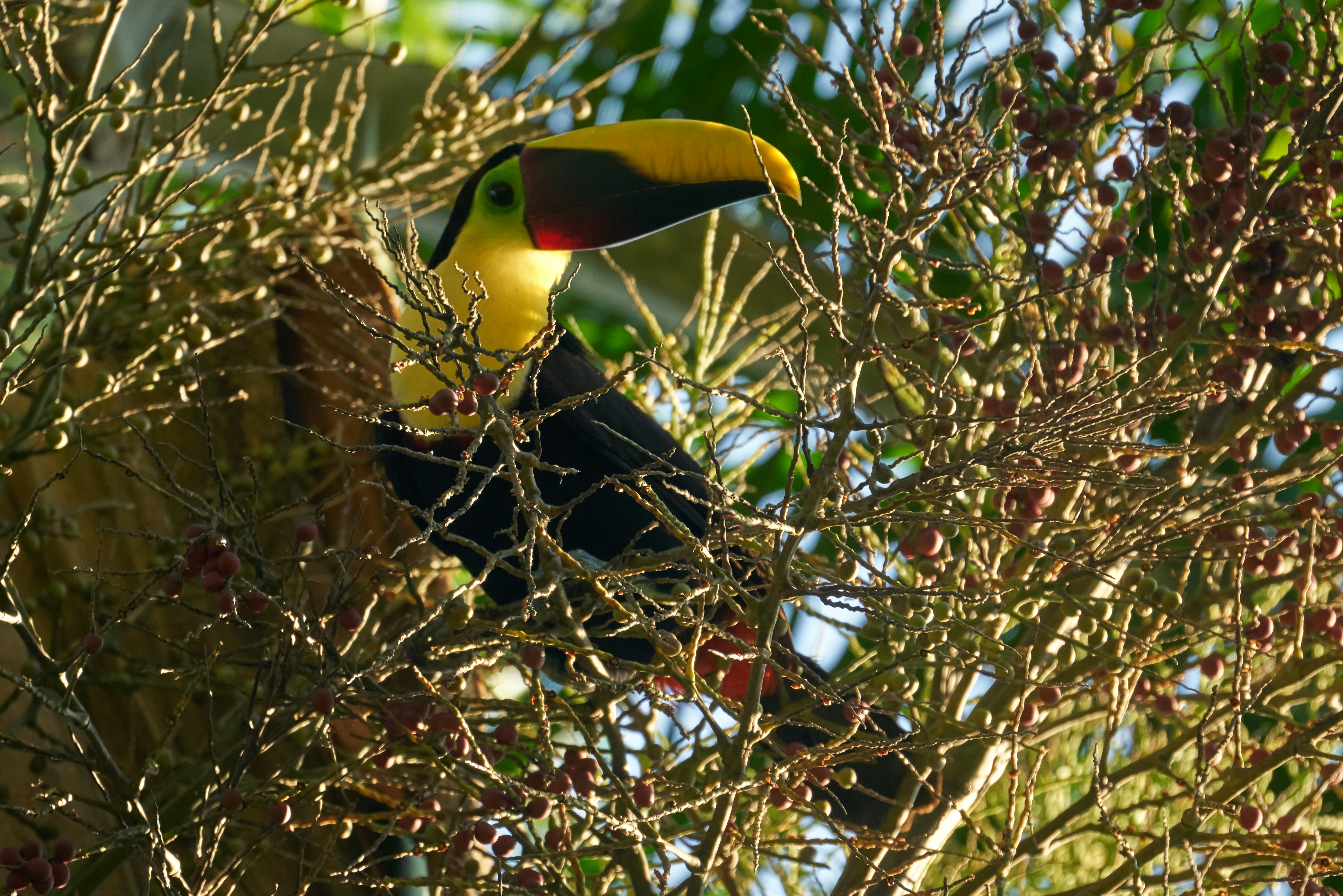 Photo by Nora Jane Long with Sony Alpha 7R II