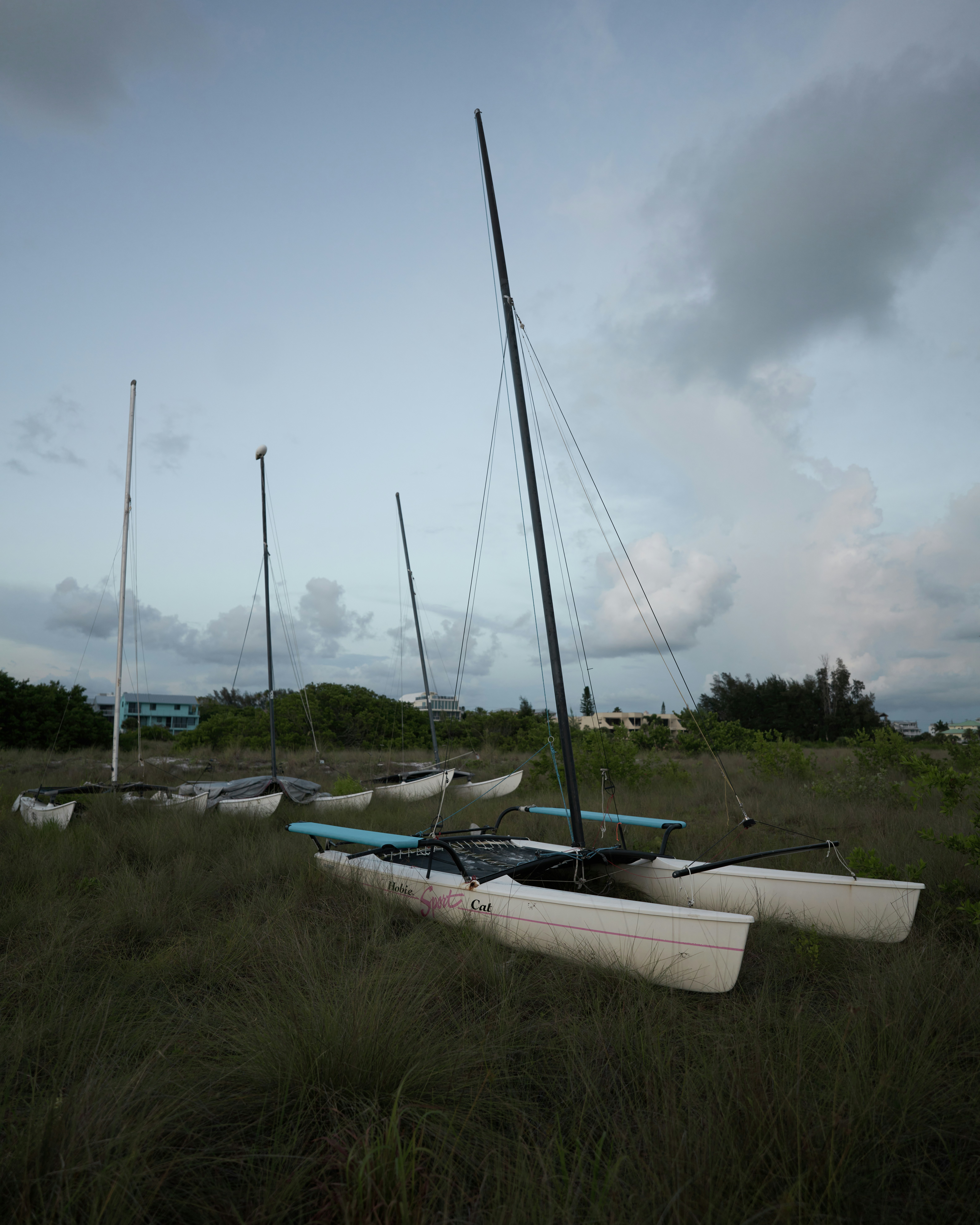 Sailboats Rest Amid Coastal Dune Grass Beneath a Cloudy Sky