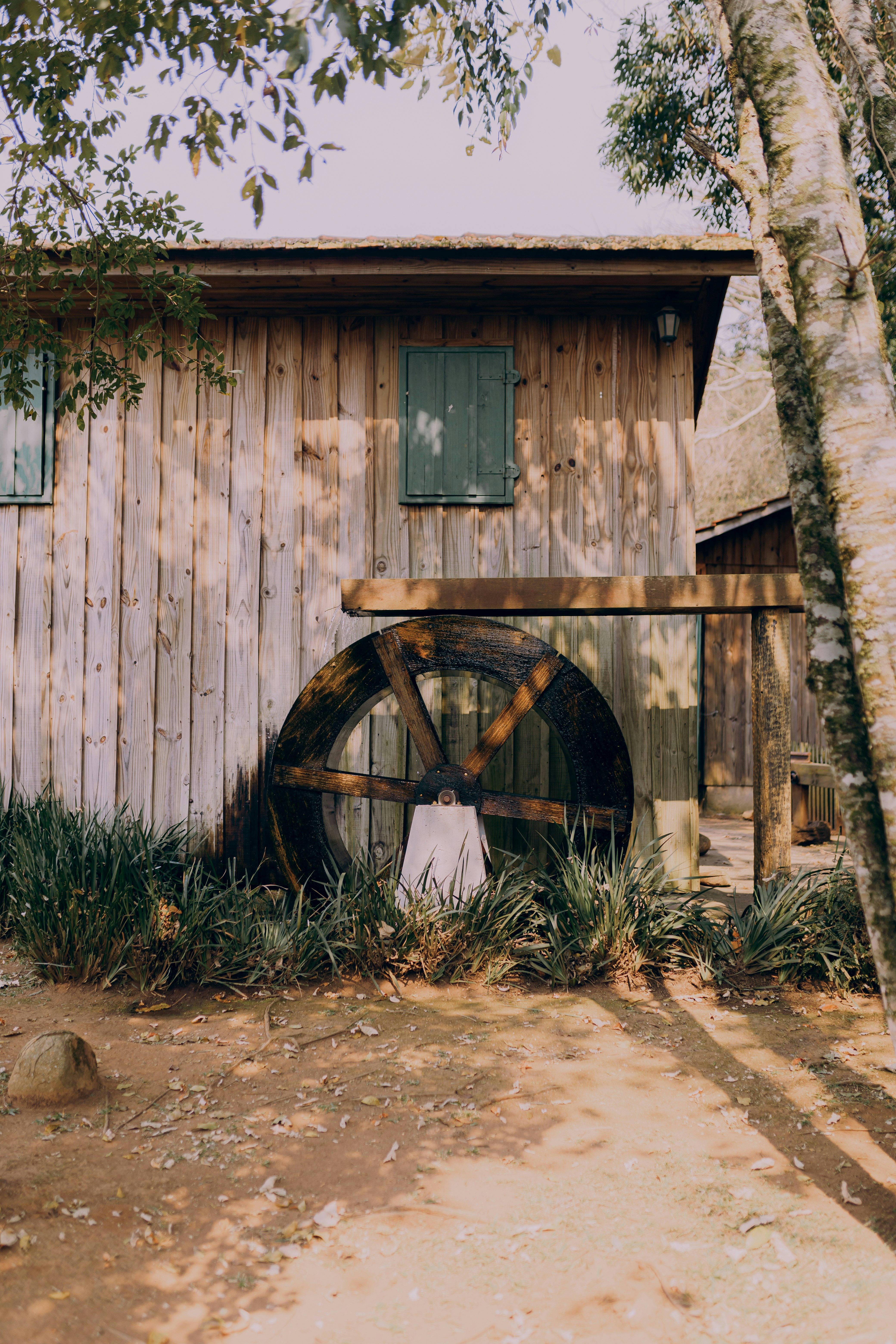 Weathered Water Wheel by the Shed: Quiet Rustic Light