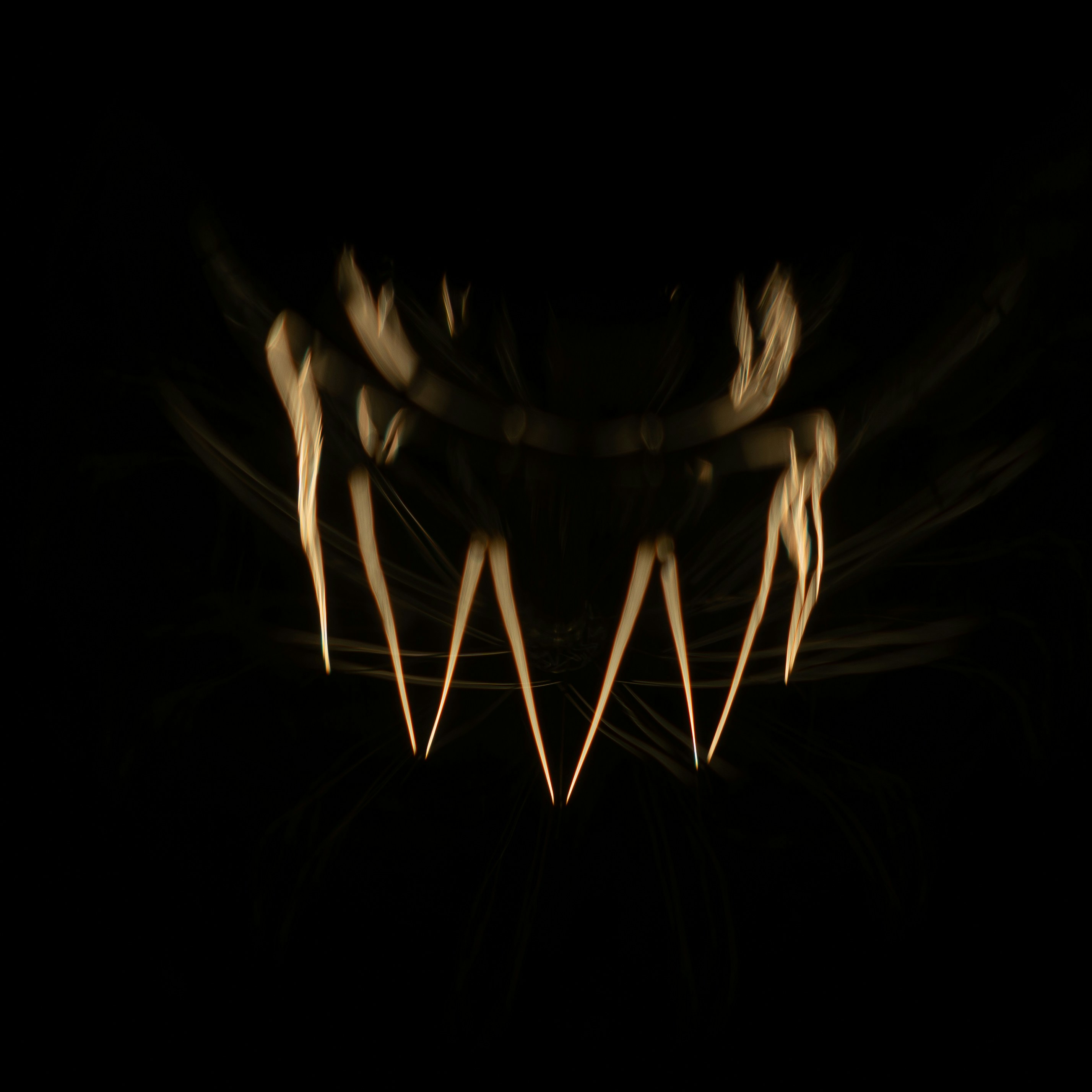 Terrifier Pictures | Download Free Images on Unsplash