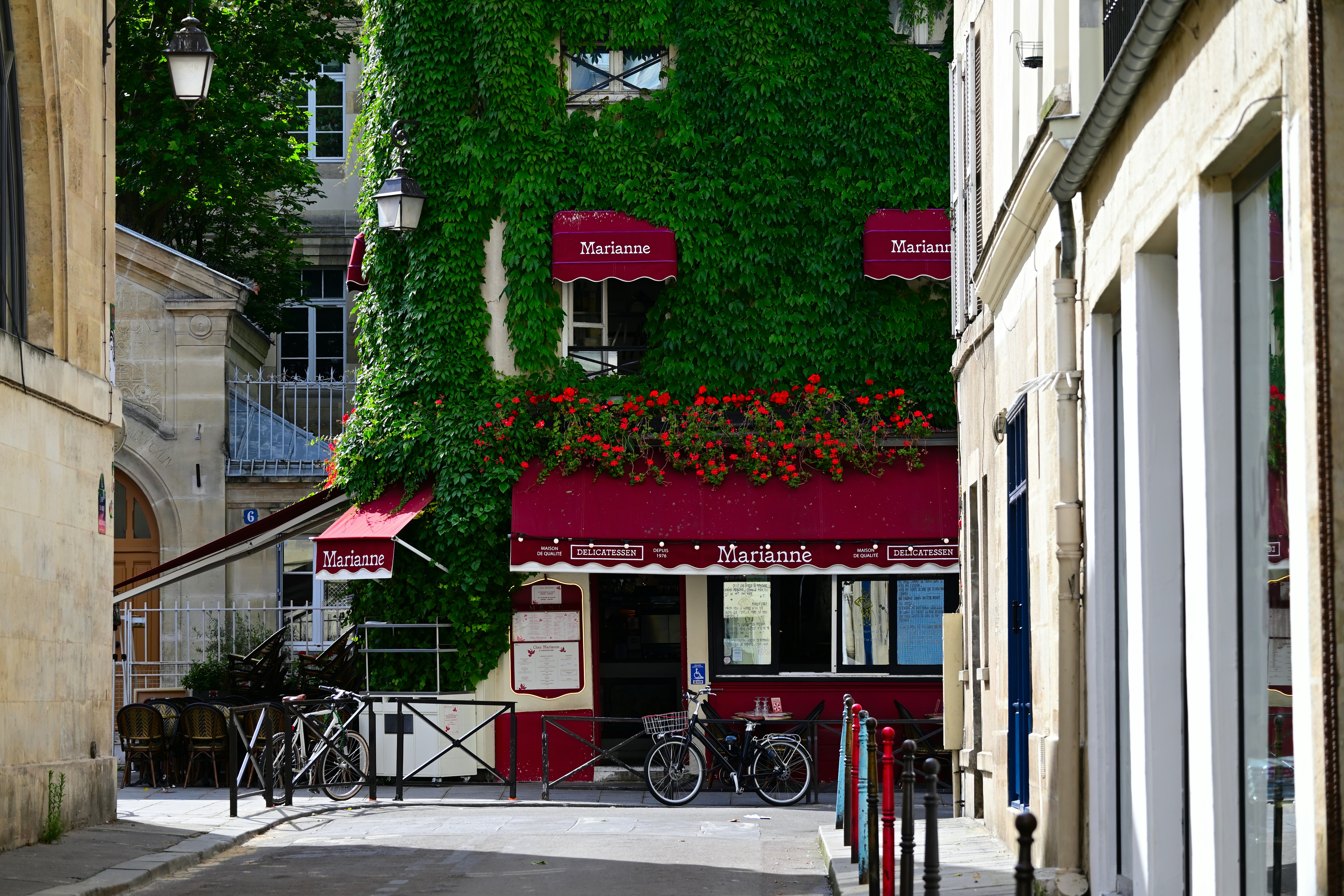 Ivy-clad Courtyard Café Blooming with Red Awnings