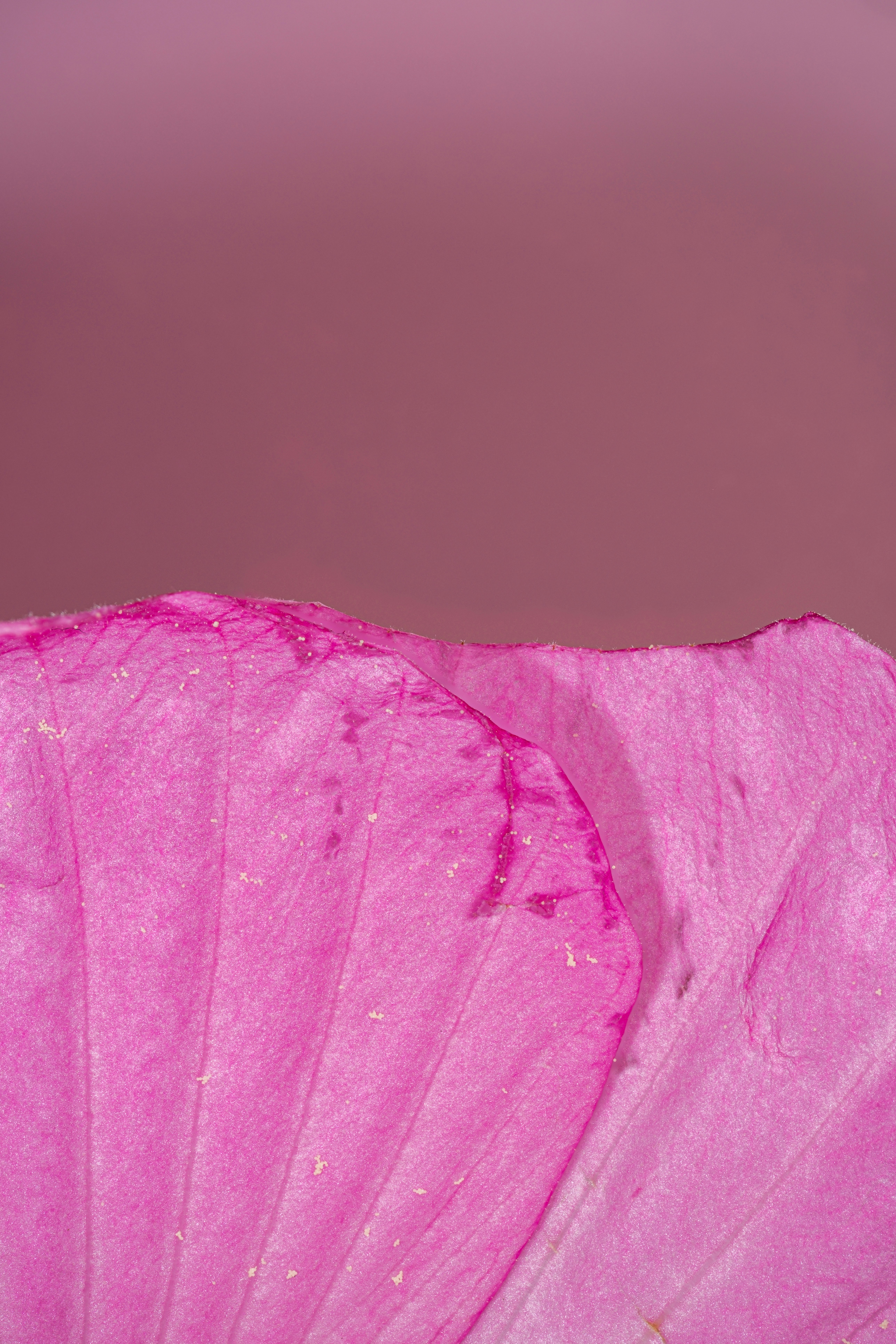 Fujifilm X-T5 Sample Shots