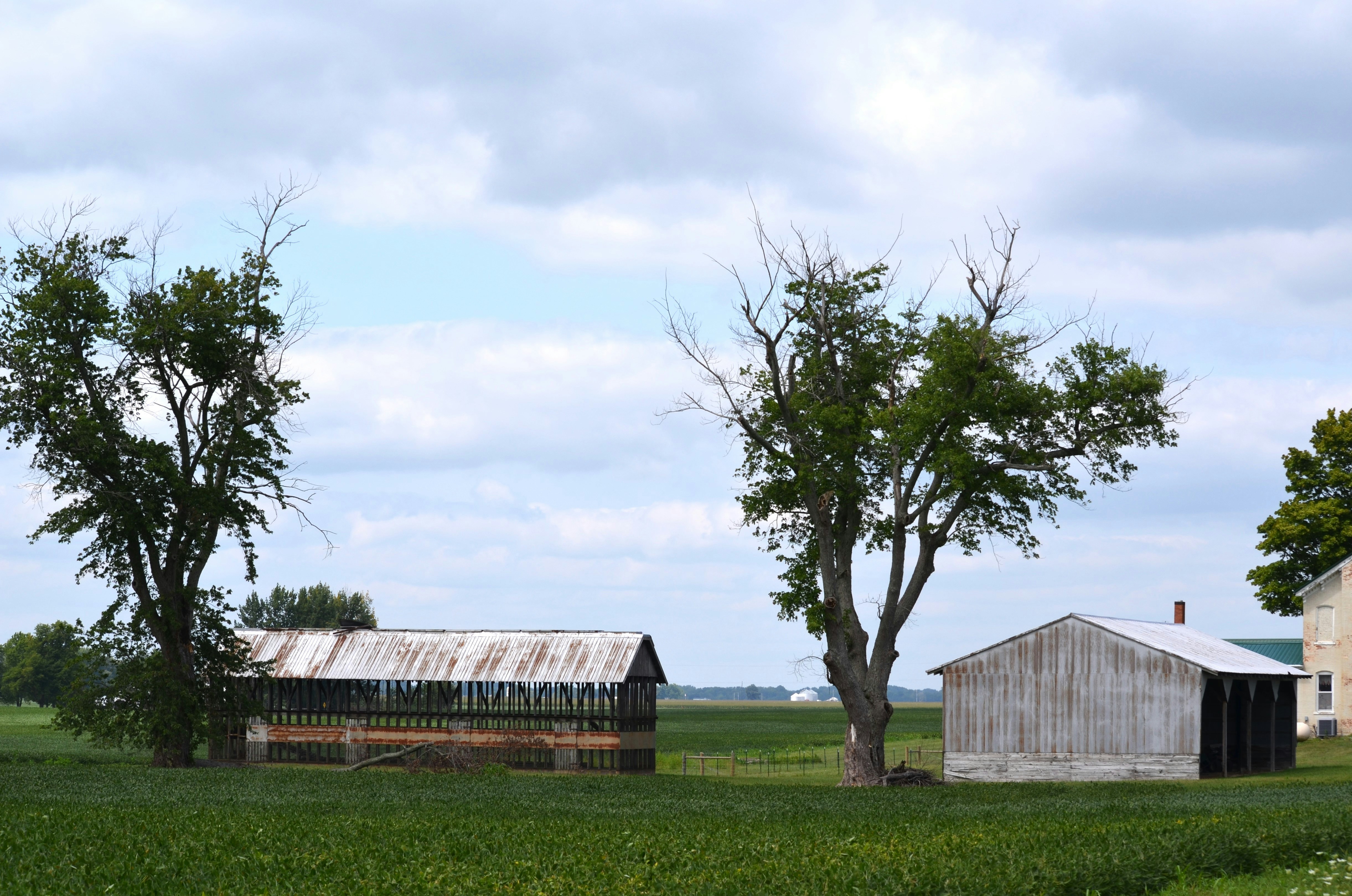 A farm with two barns and a barn in the distance photo – Free Nature ...