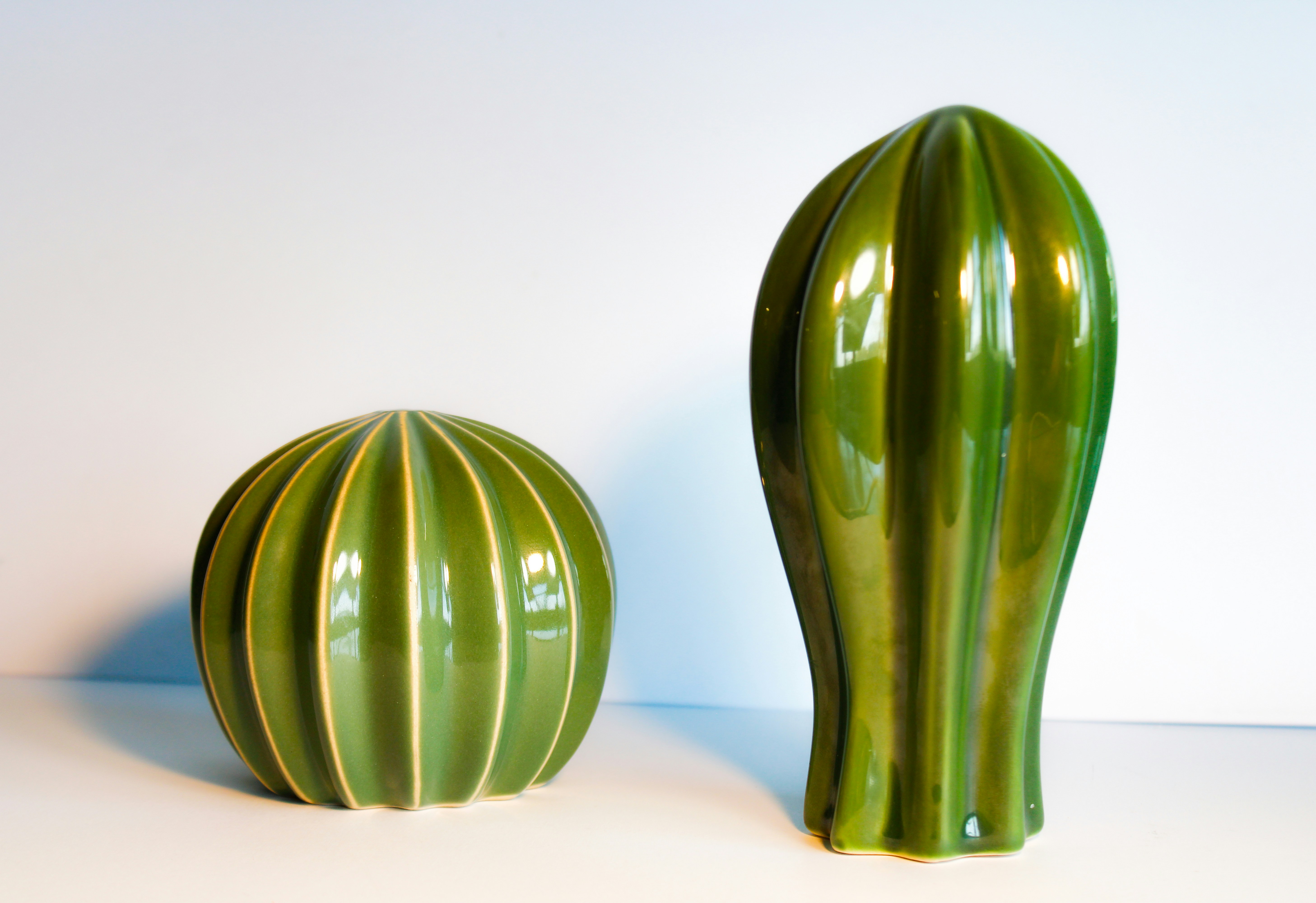 Photo by Cormac Lee with Canon EOS 2000D