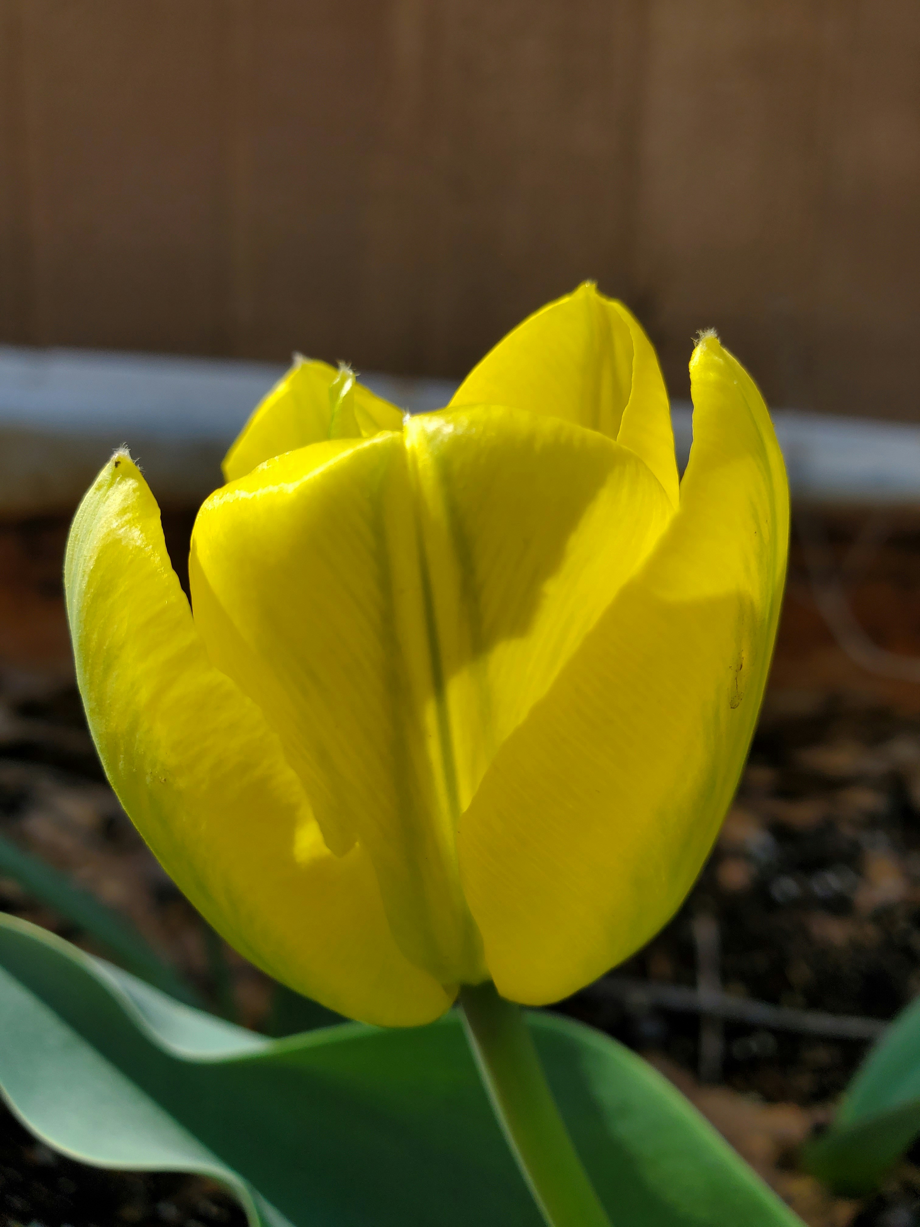 Photo by Serenity Mitchell with Samsung Galaxy S10e