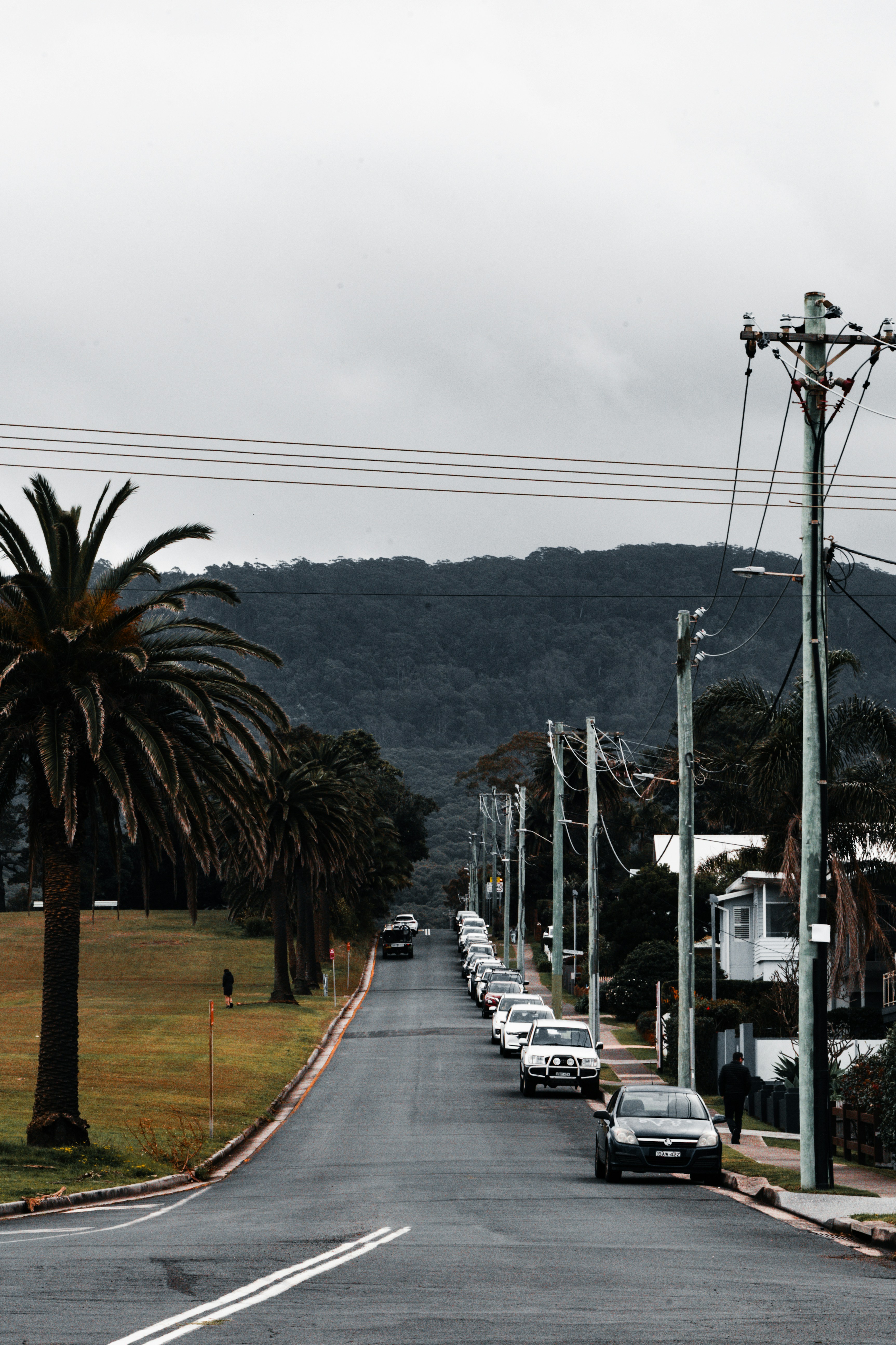 Vanishing Street Under Palm Canopy Toward the Grey Ridge