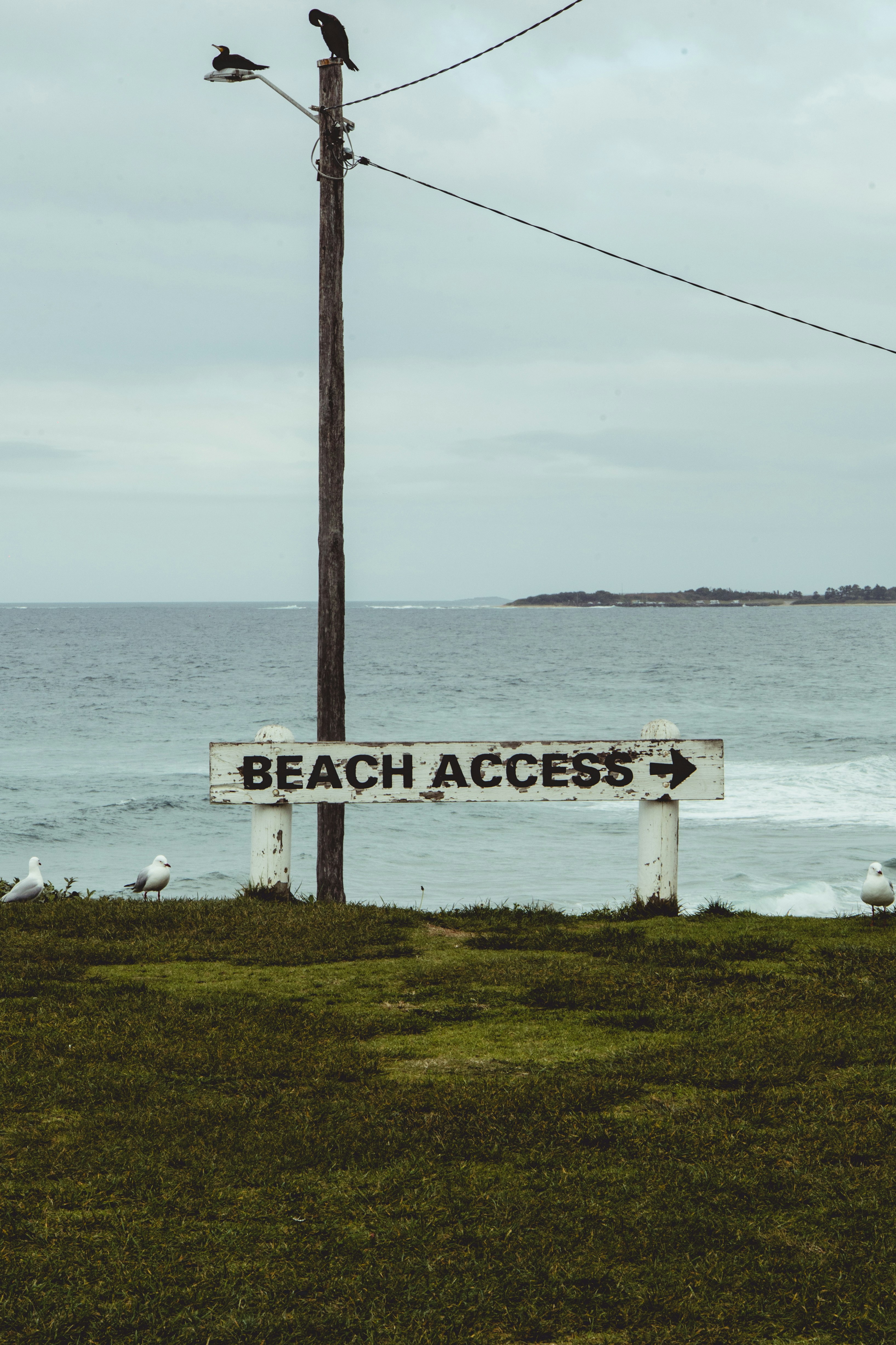 A beach access sign with seagulls sitting on top of it photo – Free ...