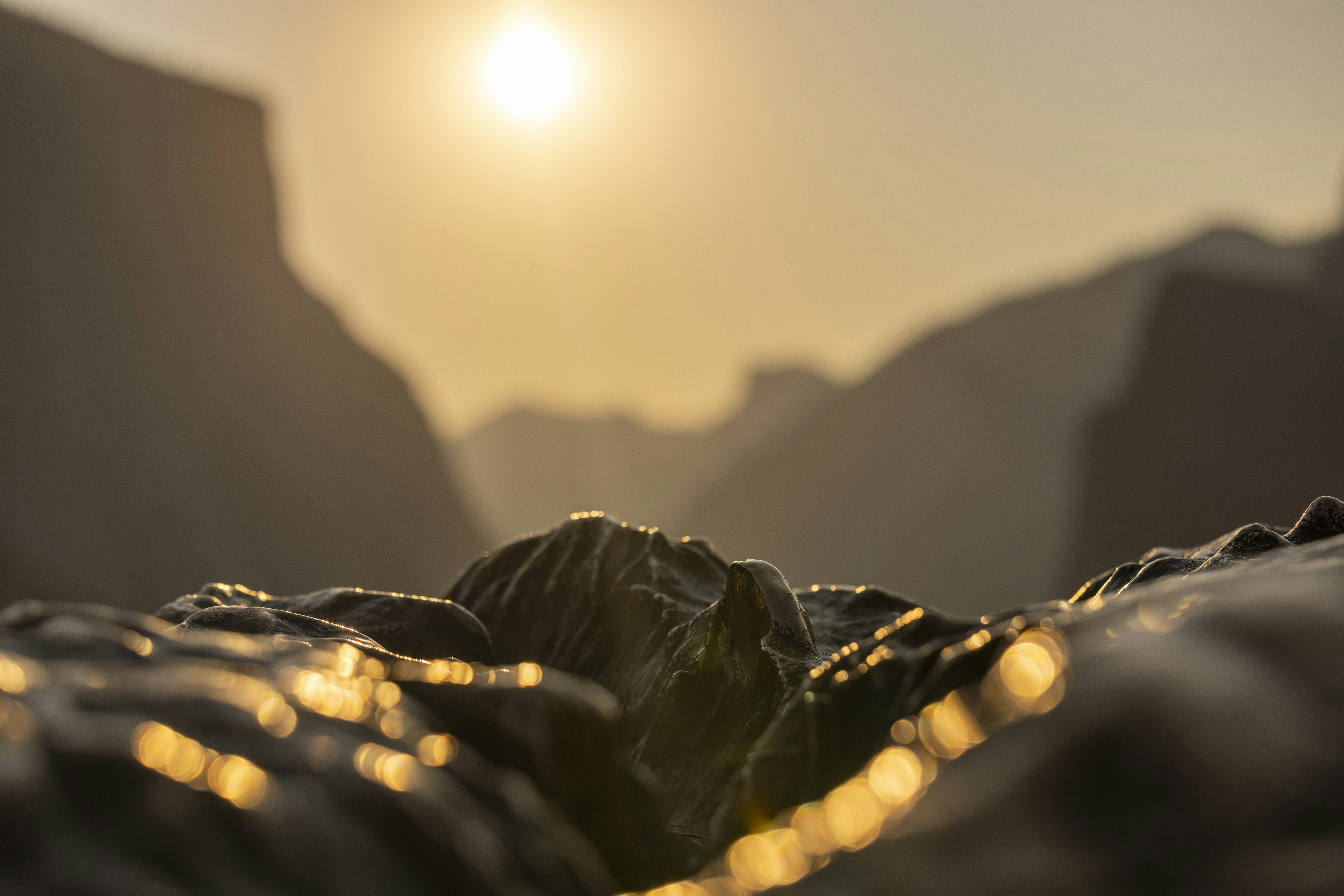 Sunlit Folds: Close-Up on Mineral Light in the Dusty Shore