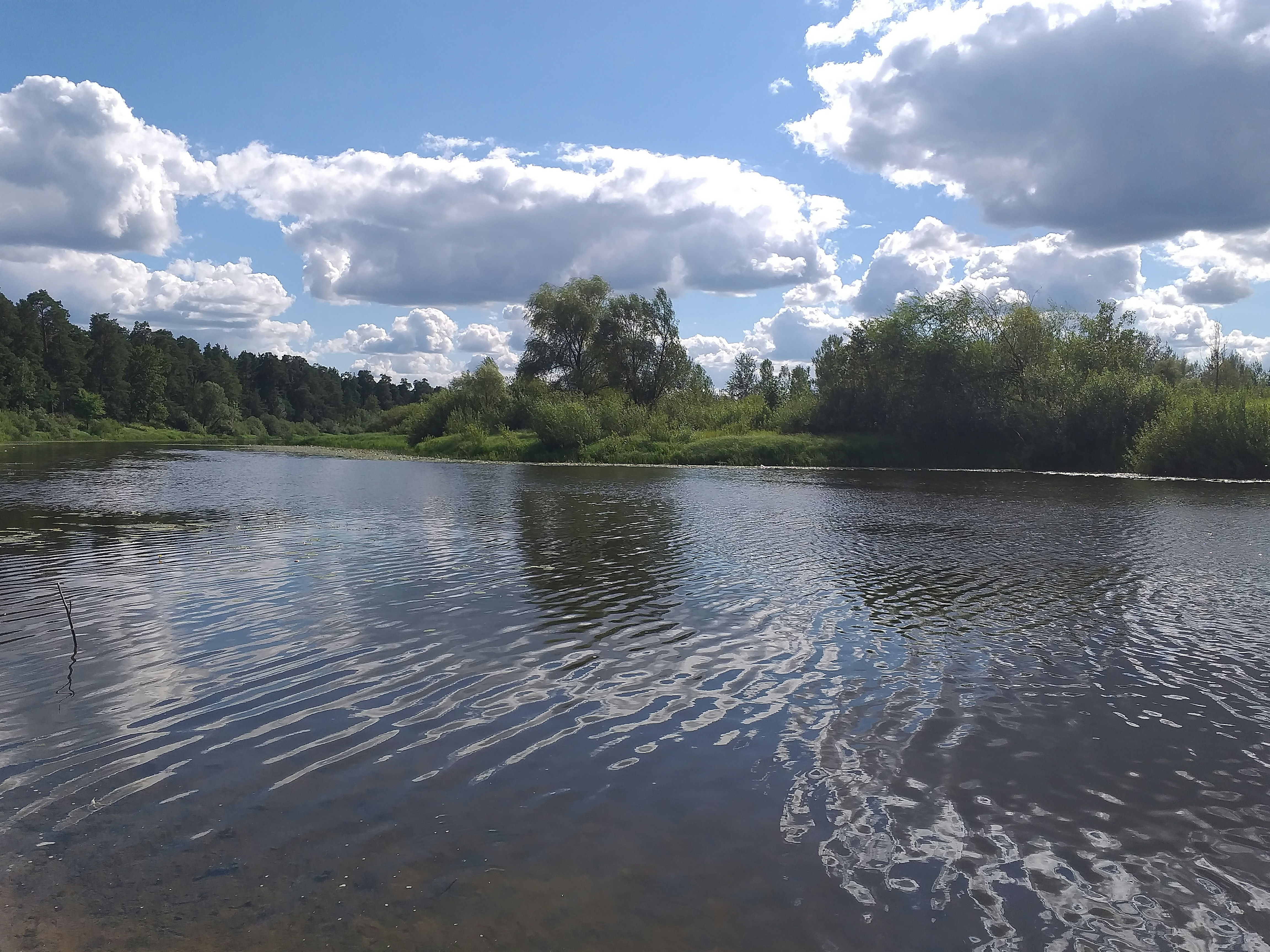 Serene river scene with lush greenery and fluffy clouds reflecting on the water's surface.