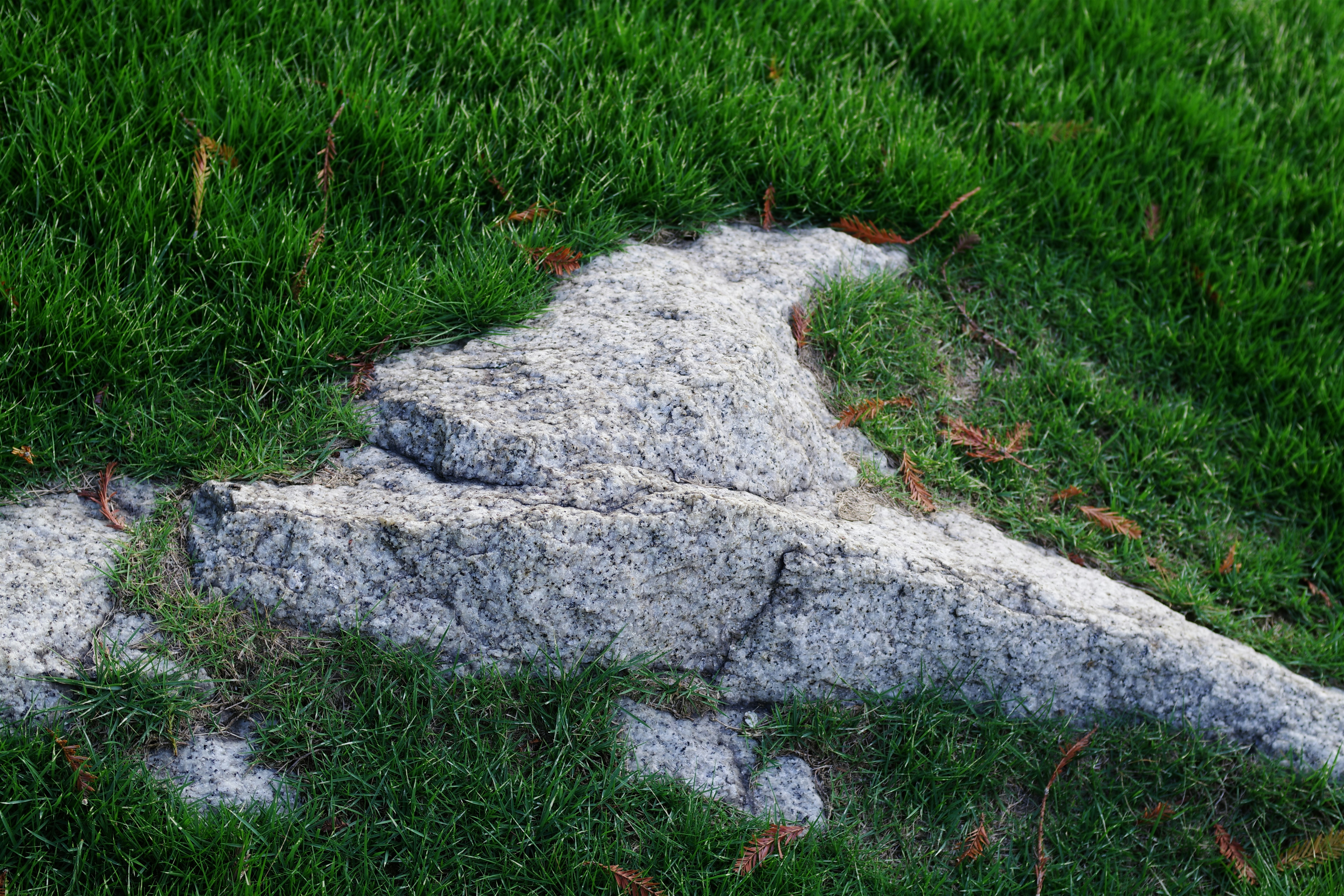 Granite Ribbon Traversing a Quiet Lawn