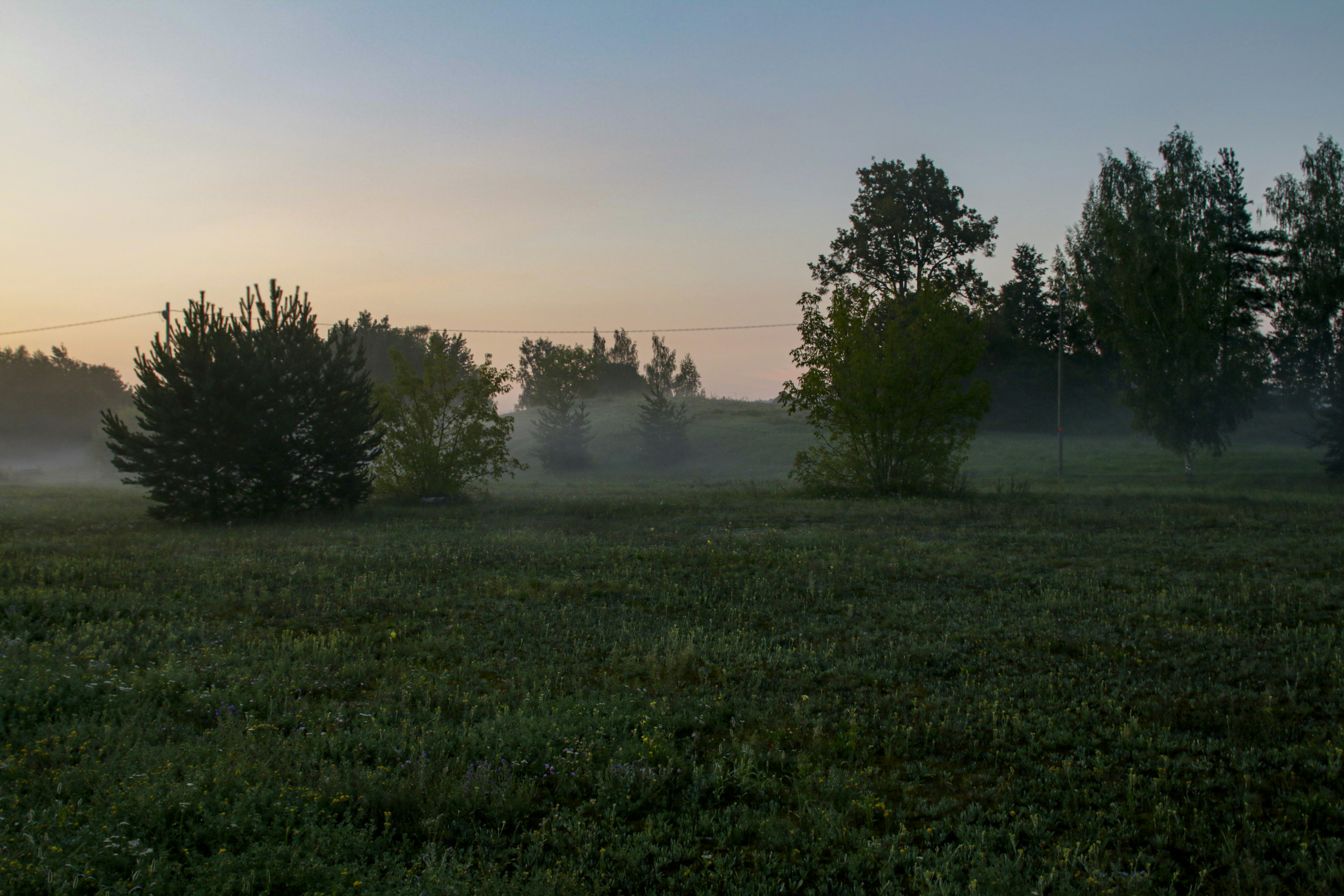 A foggy field with trees in the distance photo – Free Latvia Image on ...