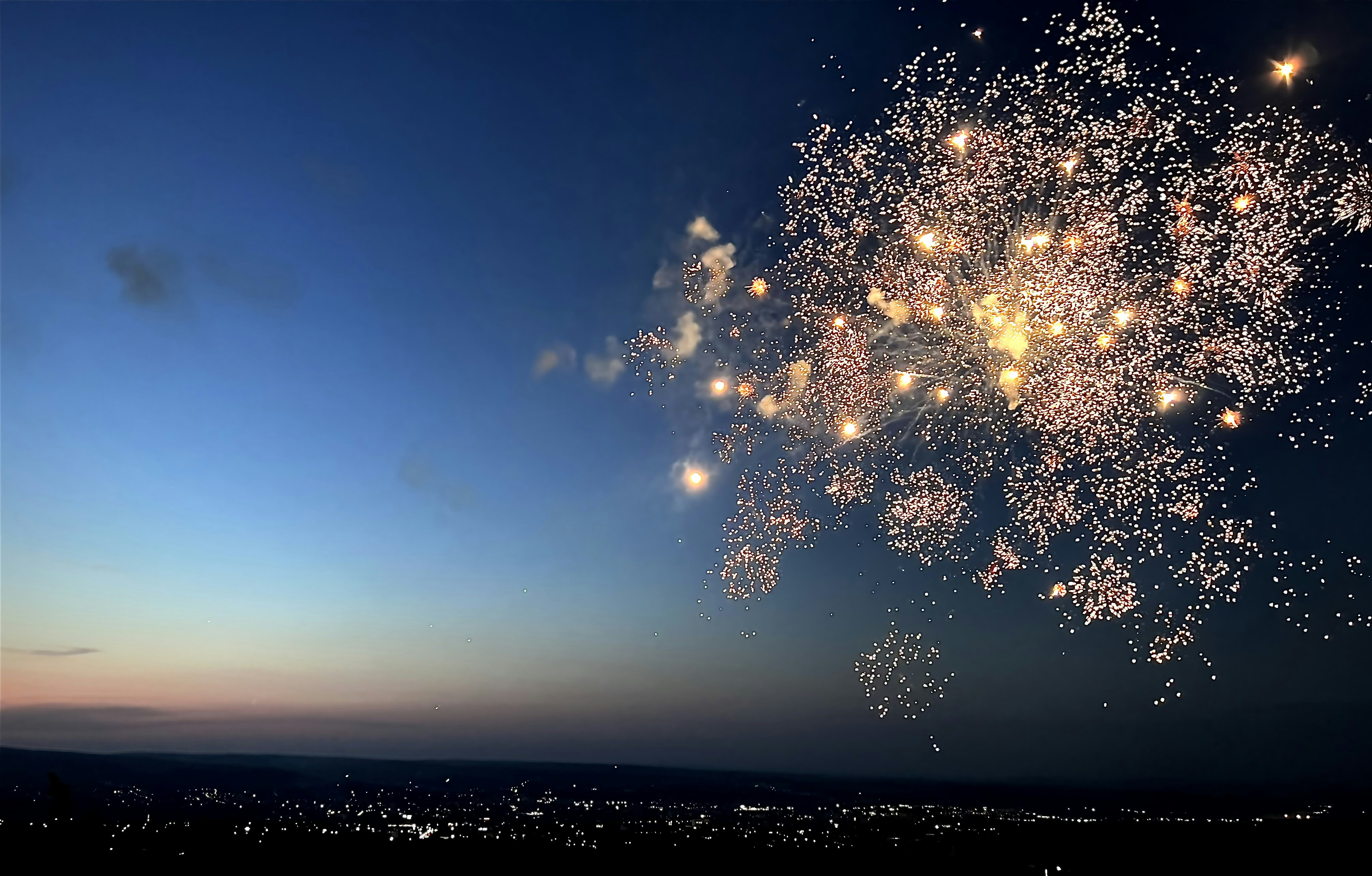 Firework Bloom Over Dusk Horizon