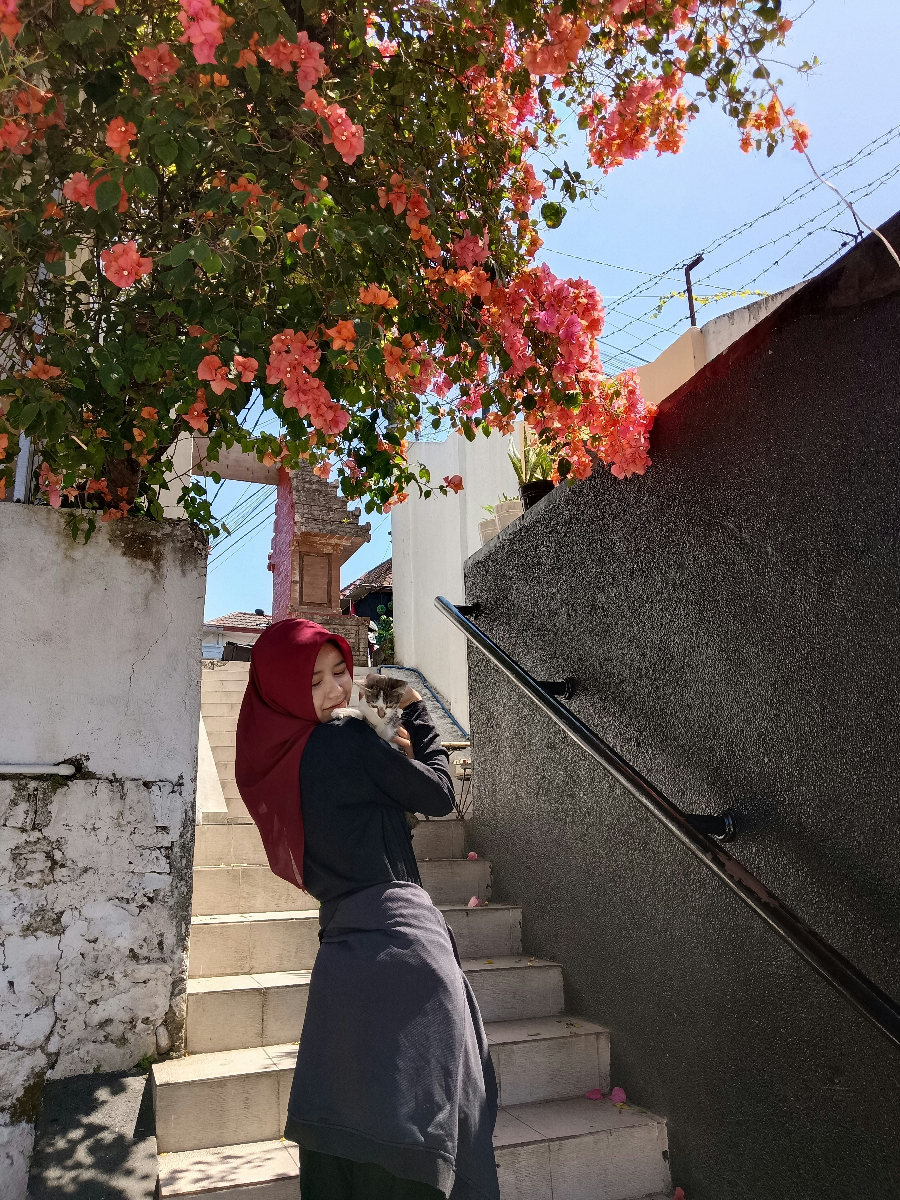 Portrait of a woman in a red hijab holding a cat on sunlit outdoor stairs, framed by pink bougainvillea.