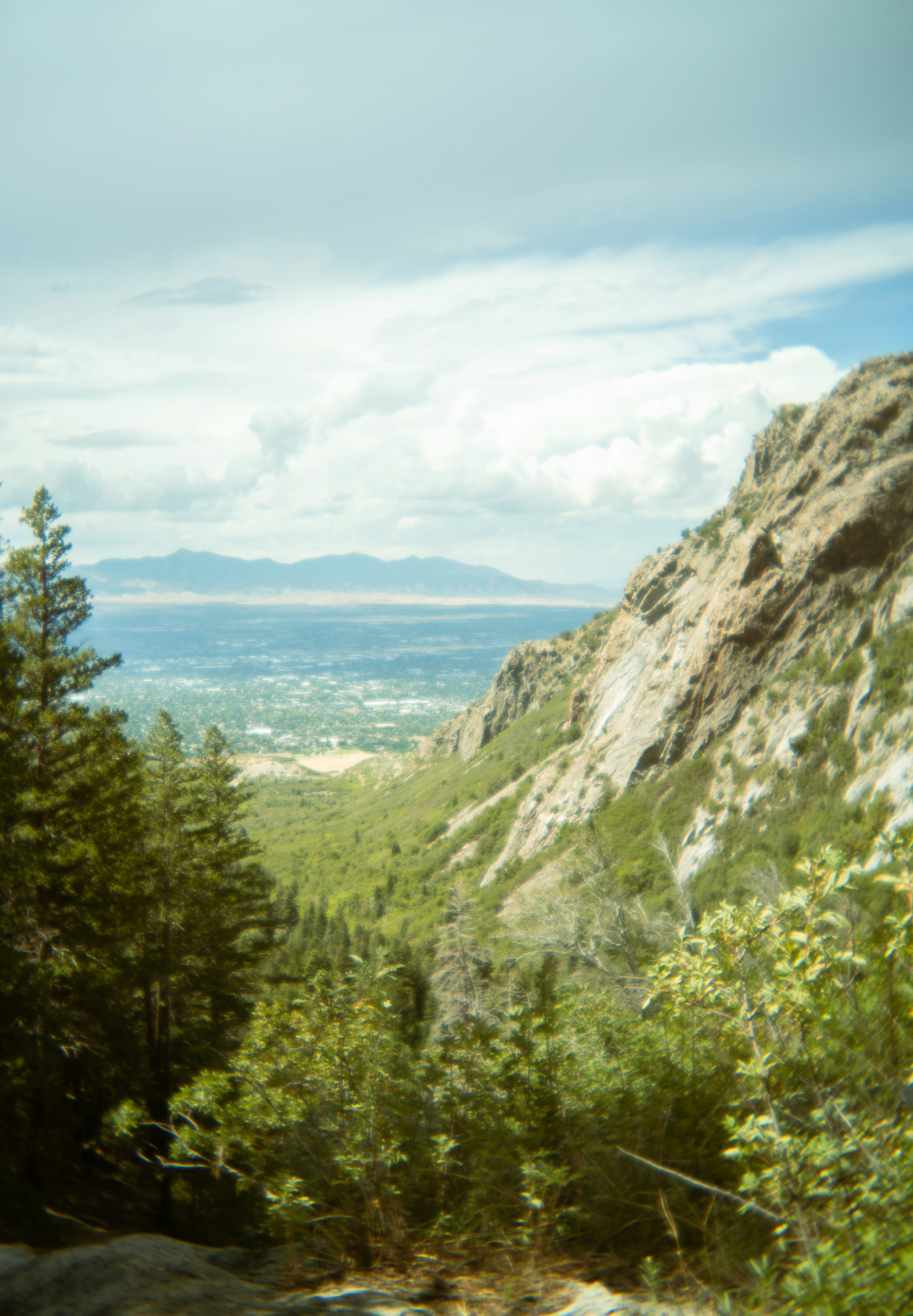 Sunlit Ridge Over a Pine-Filled Vale