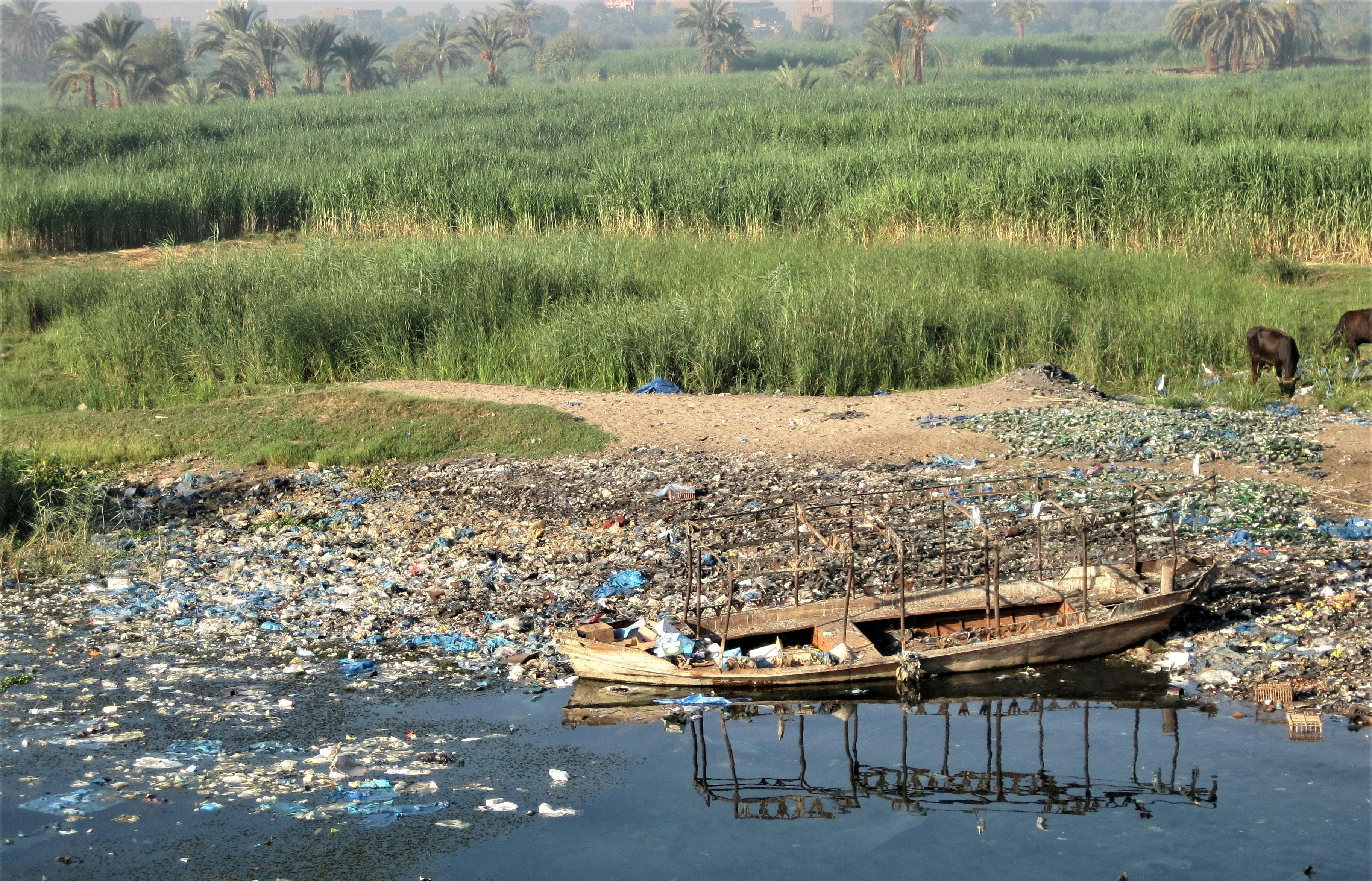 A boat sitting on top of a river filled with trash photo – Free Aswan ...
