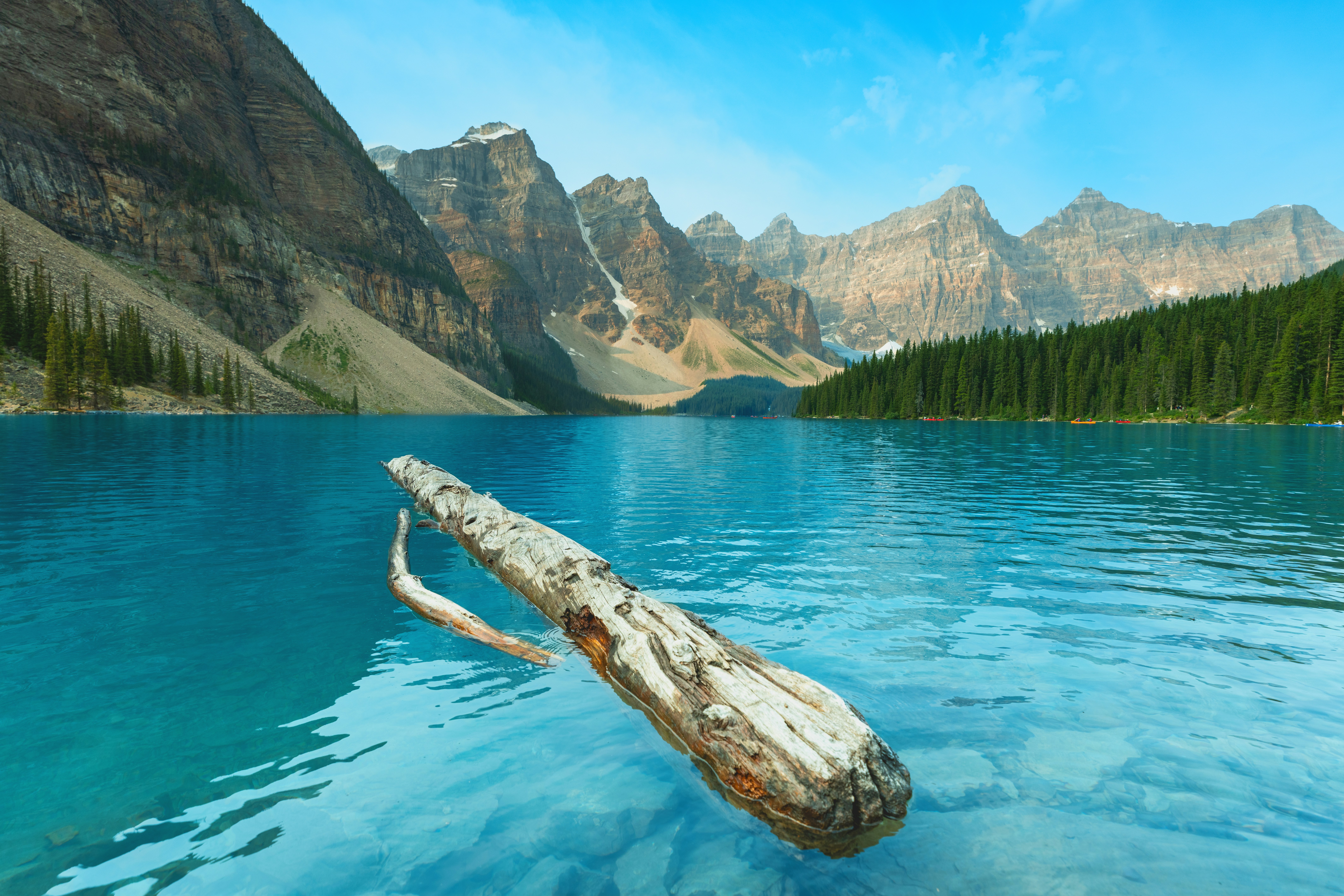 Azure Alpine Lake: Driftwood at the Edge of Granite Peaks