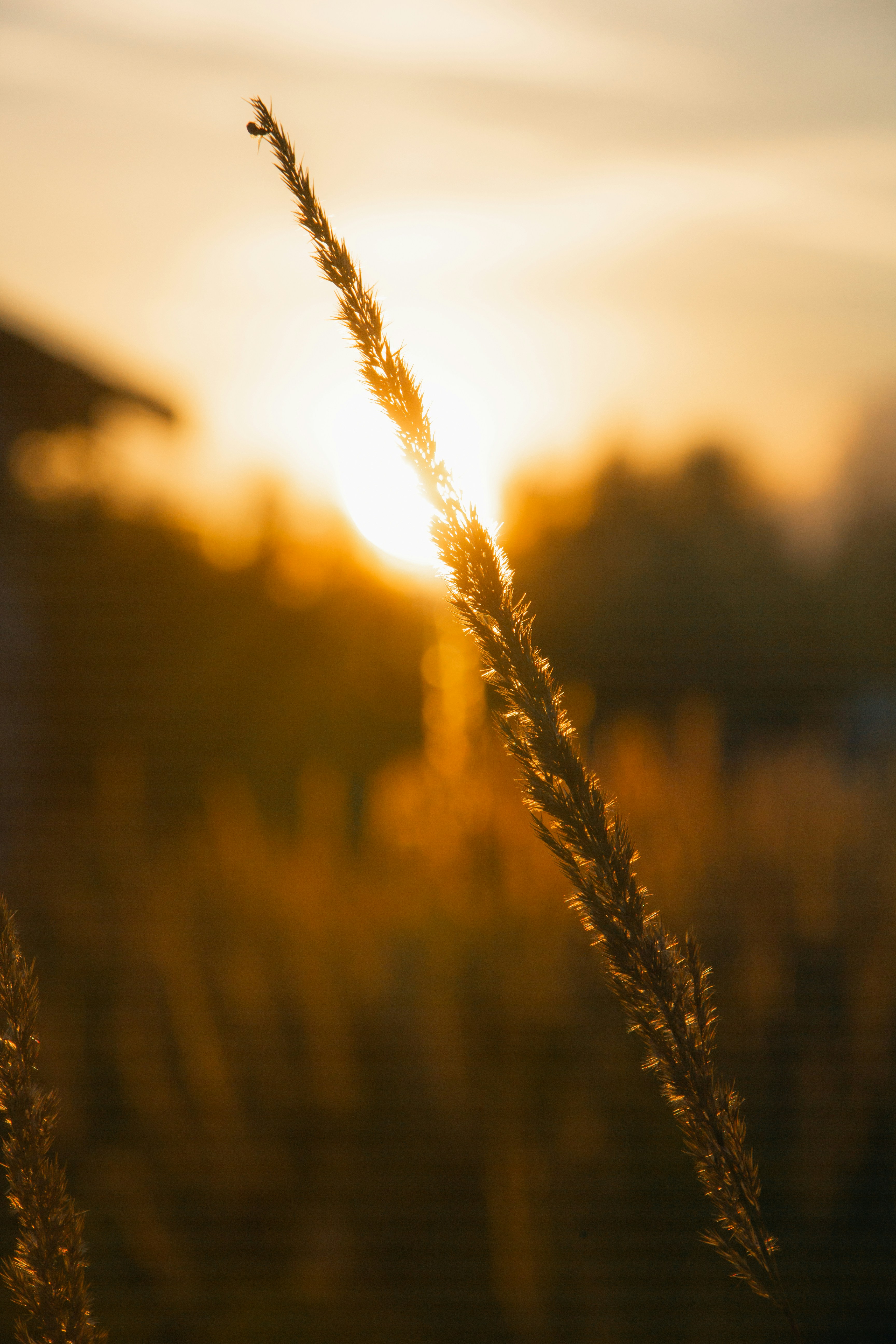 Photo by tema pedchenko with Canon EOS 550D