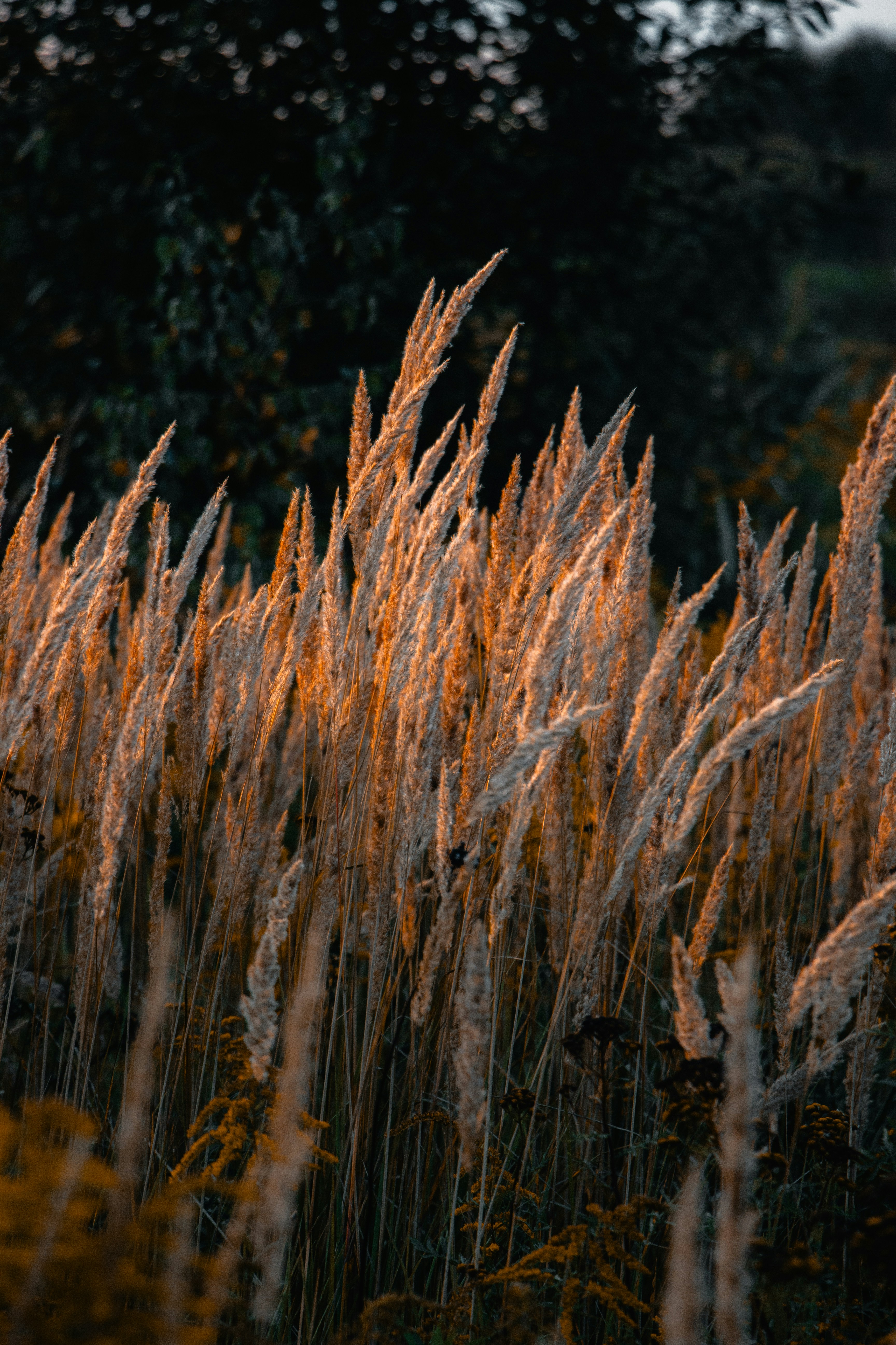 Photo by tema pedchenko with Canon EOS 550D