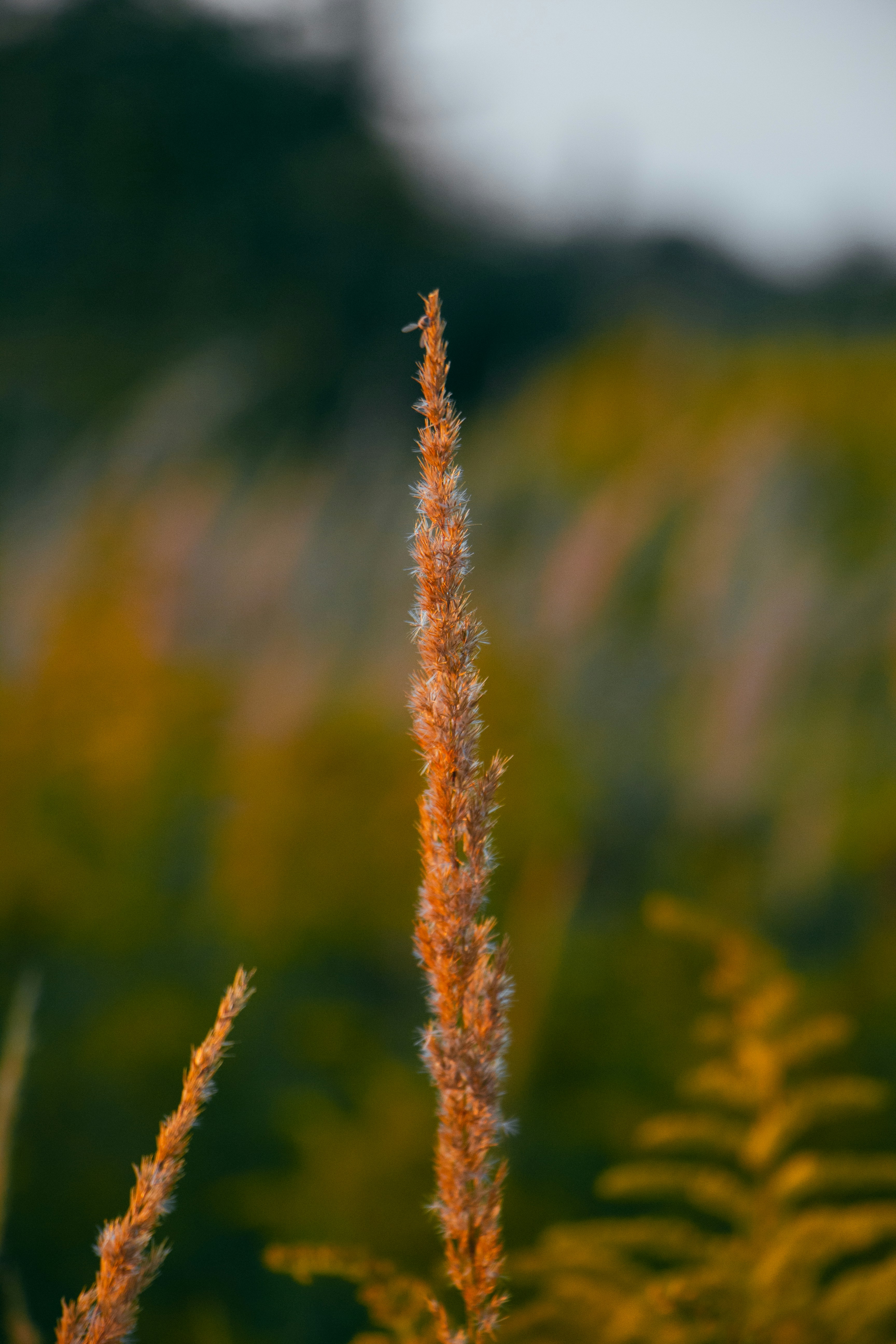 Photo by tema pedchenko with Canon EOS 550D