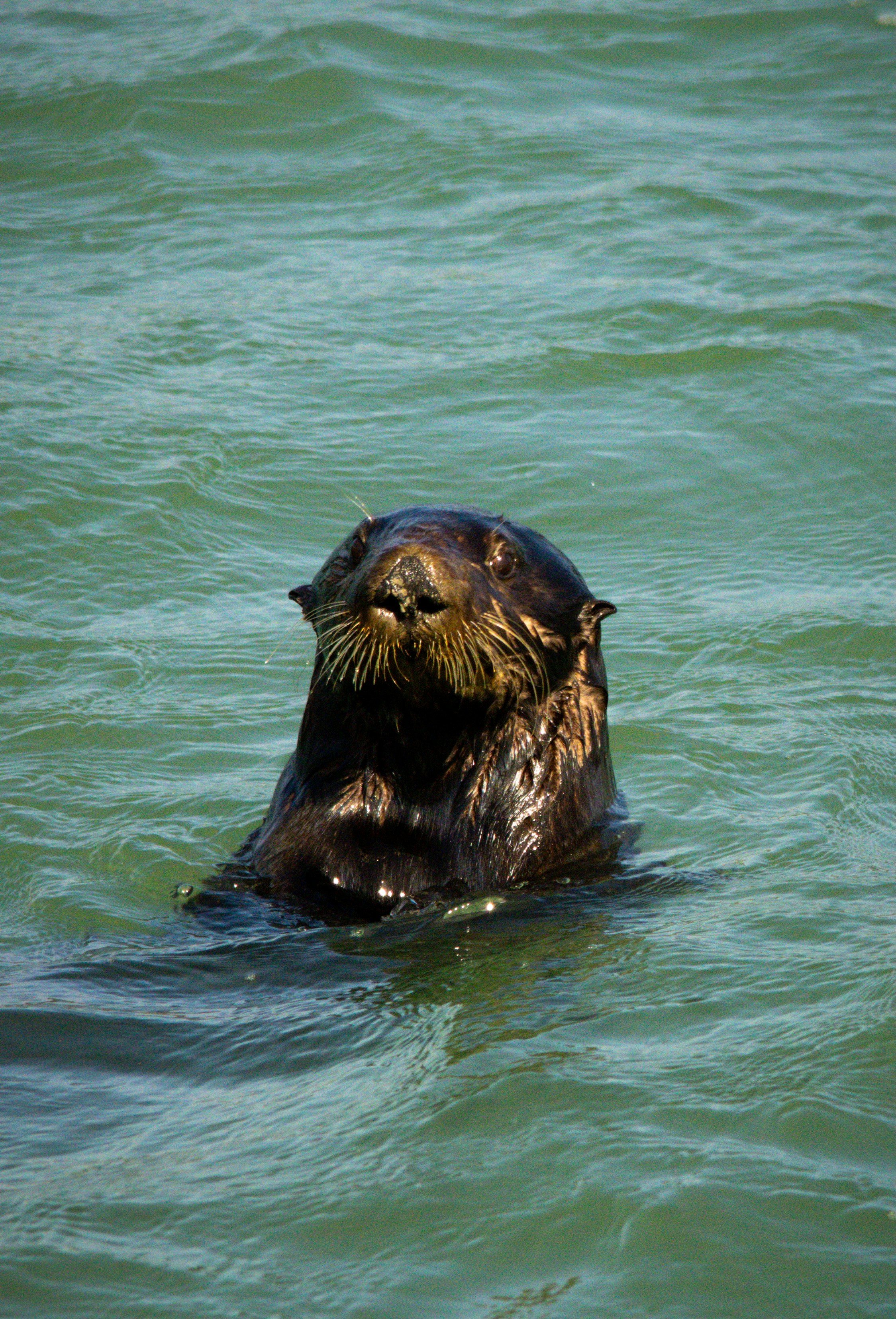 Mazin Omron (@mazinomron) | Comunidade de fotos da Unsplash