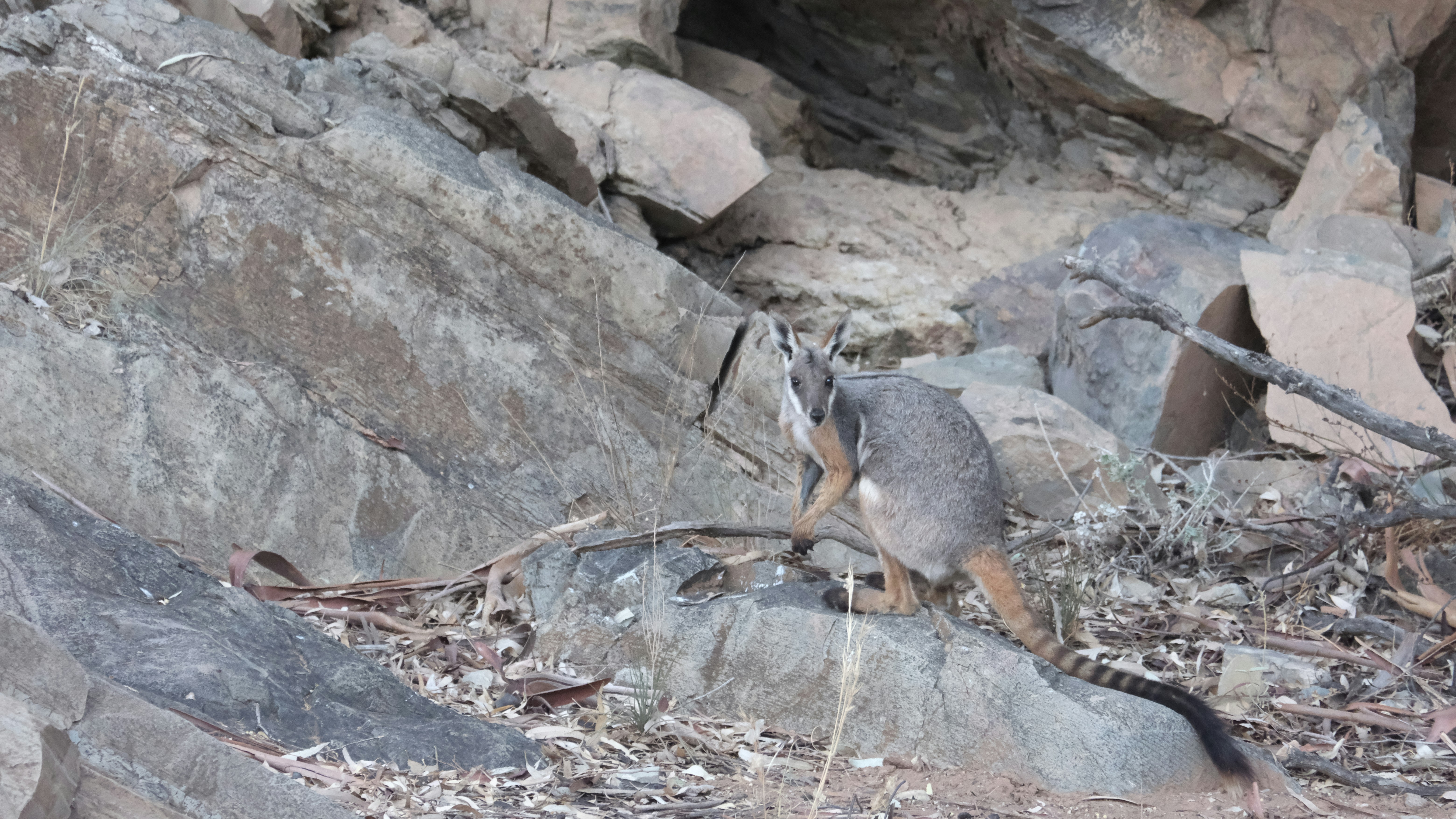 Photo by Thomas Gabernig with Fujifilm X-T30 II